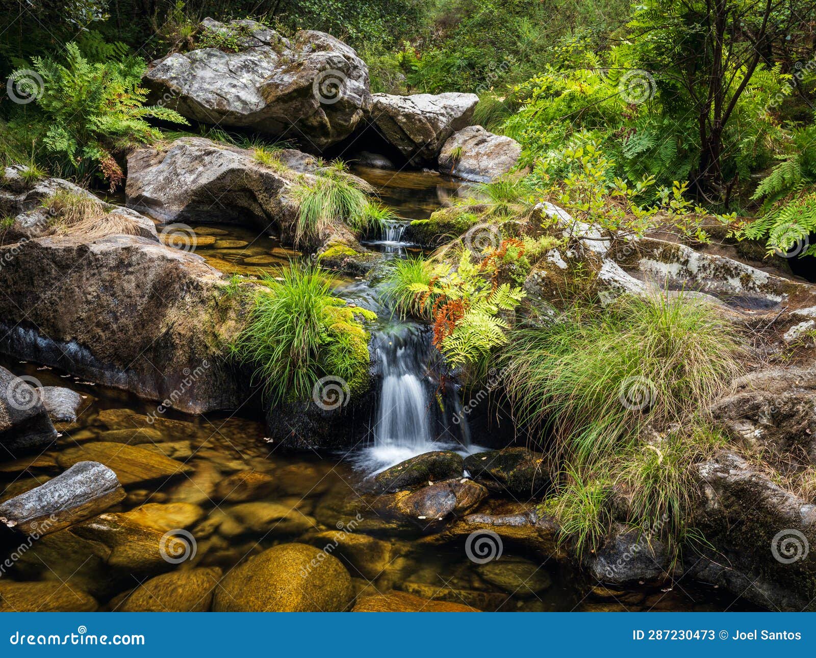 Vegetation and Waterfall of River Stream in Agualva Stock Image - Image ...