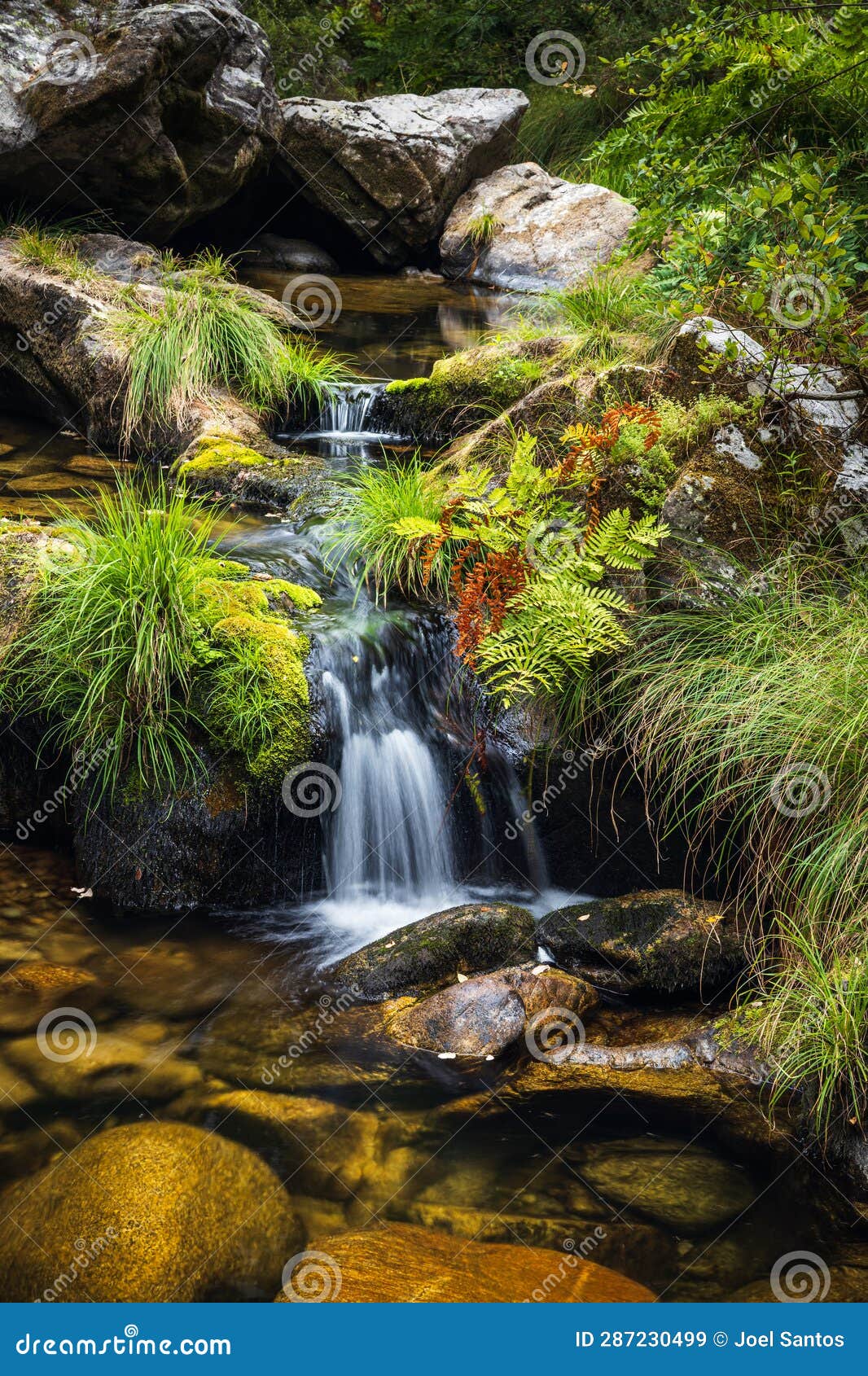 Vegetation and Waterfall of River Stream in Agualva Stock Image - Image ...
