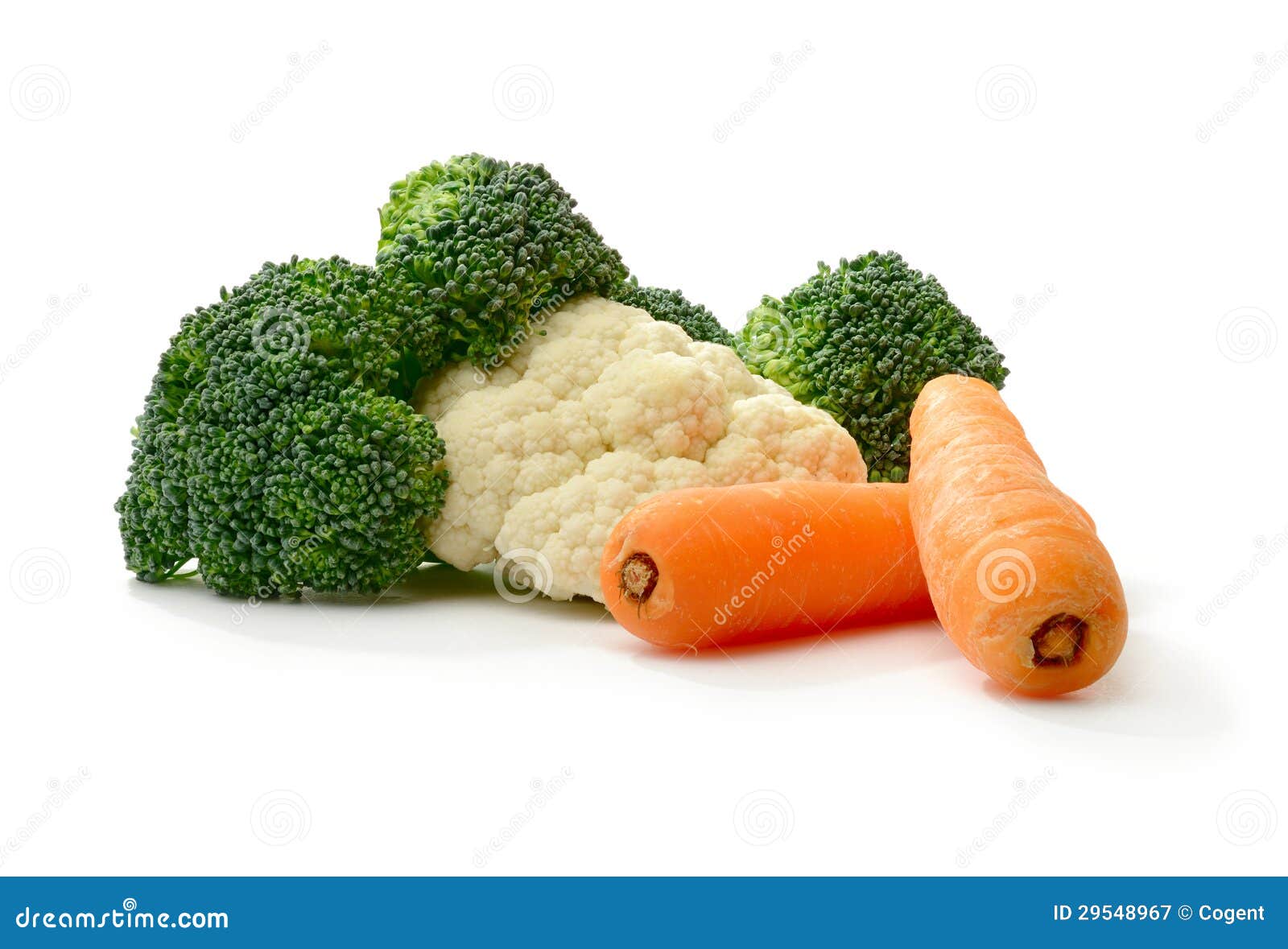 Veggie II stock image. Image of diet, concept, healthy - 29548967