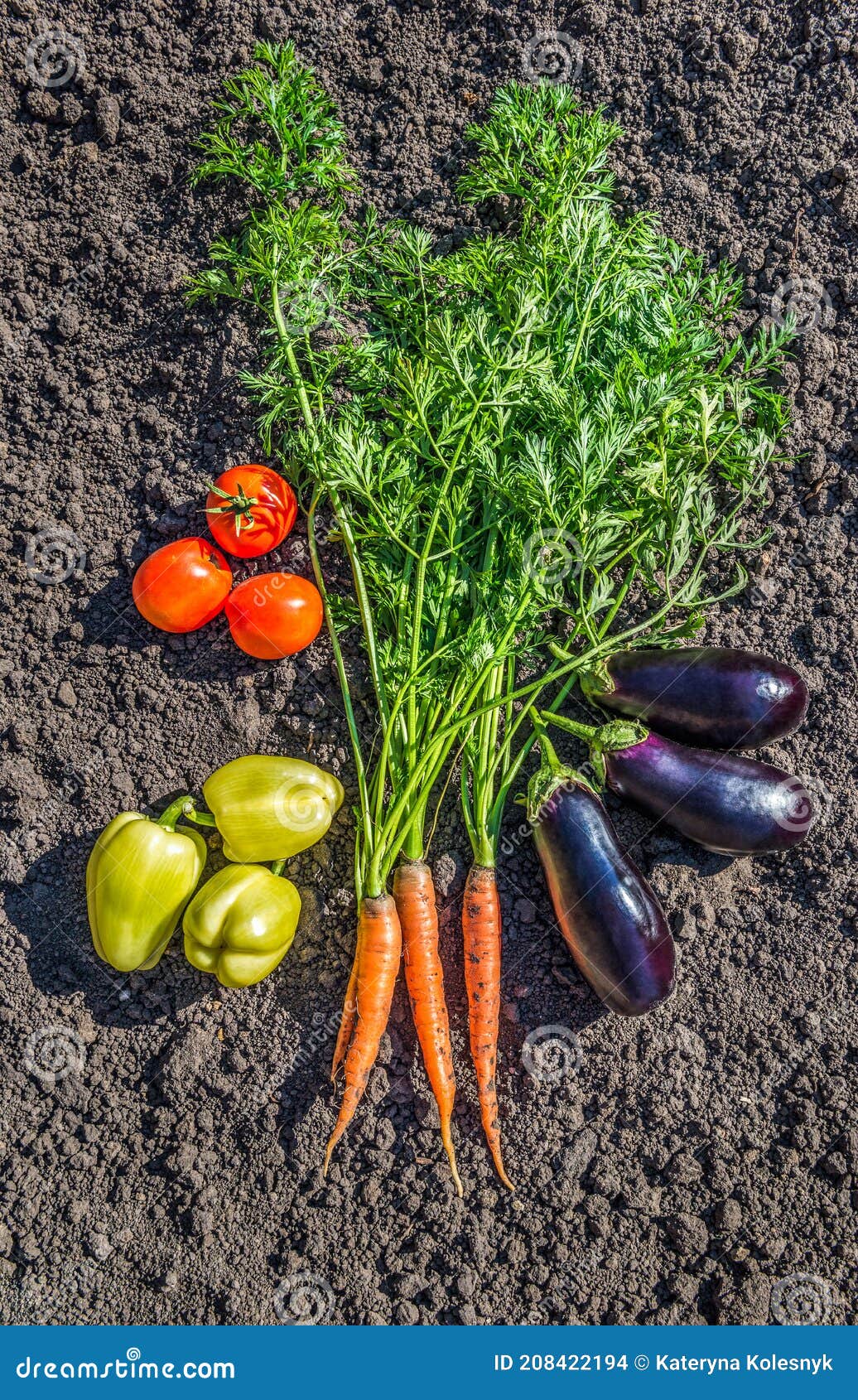Veggies on the ground stock photo. Image of pepper, diet - 208422194