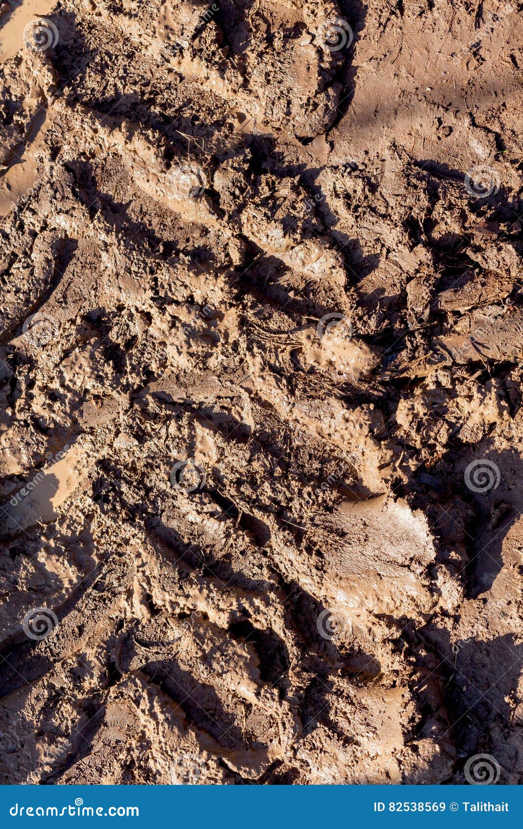 Vehicle mark on mud stock image. Image of brown, rainy - 82538569