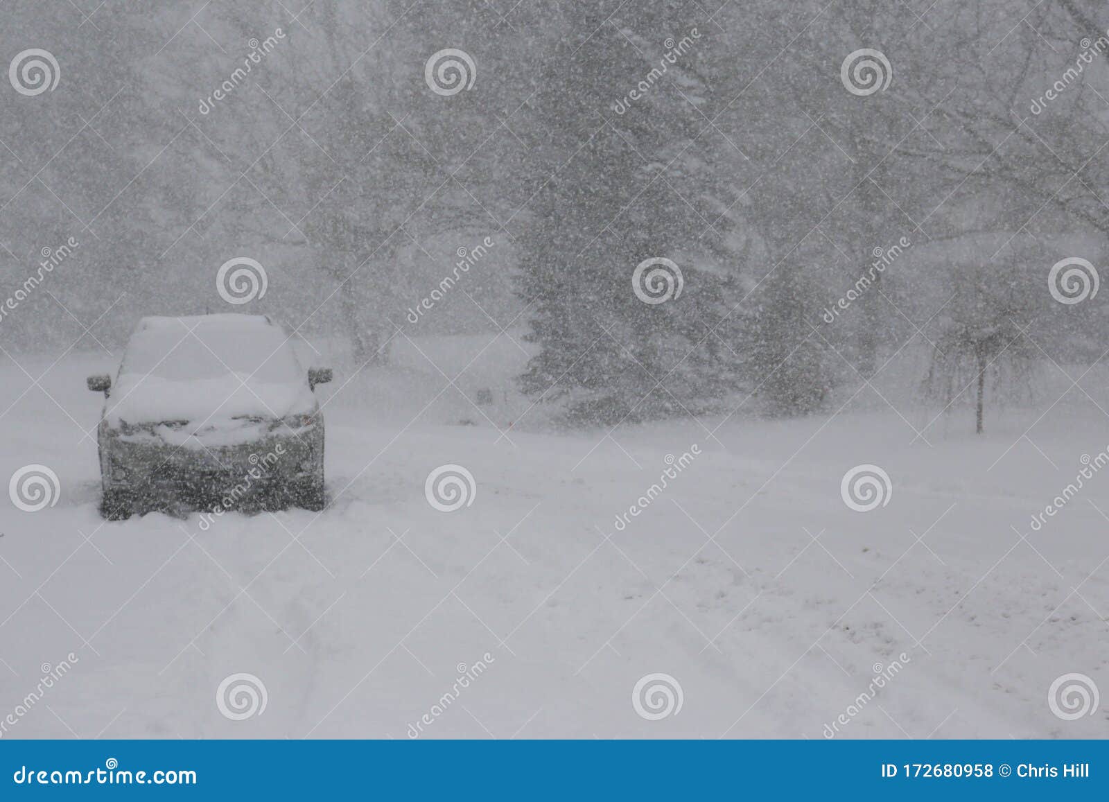 White Out stock photo. Image of storm, clearing, snowfall - 172680958