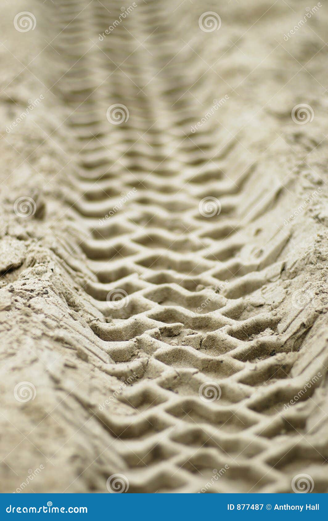 Vehicle tracks in sand stock image. Image of explore, road - 877487