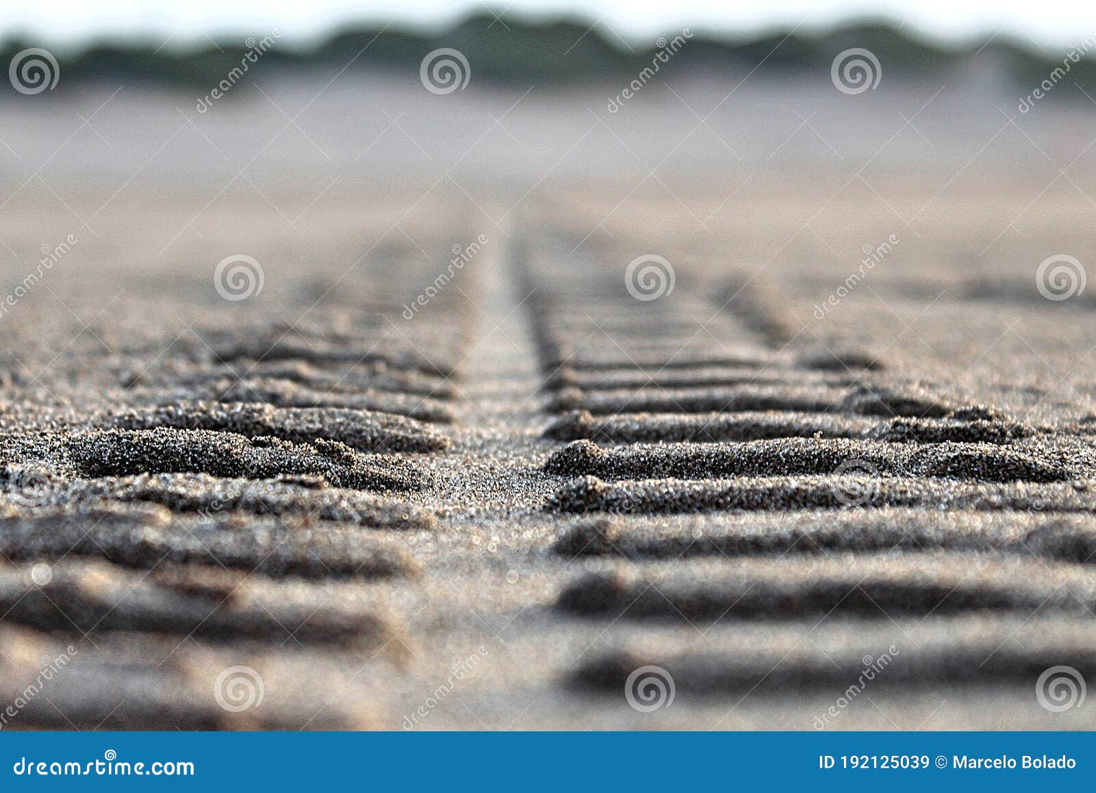 Vehicle tracks in the sand stock image. Image of increasingly - 192125039