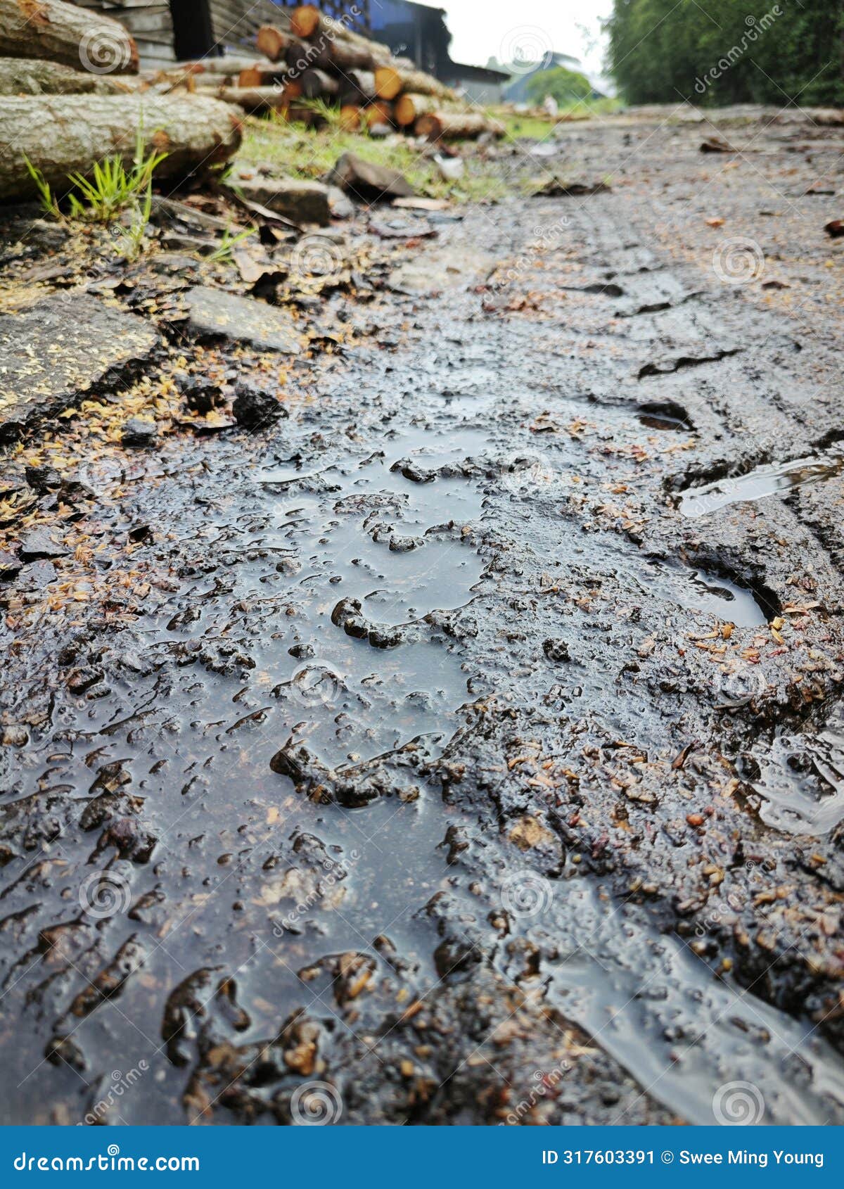 Vehicle Tyre Track Mark on the Muddy Puddle. Stock Image - Image of ...