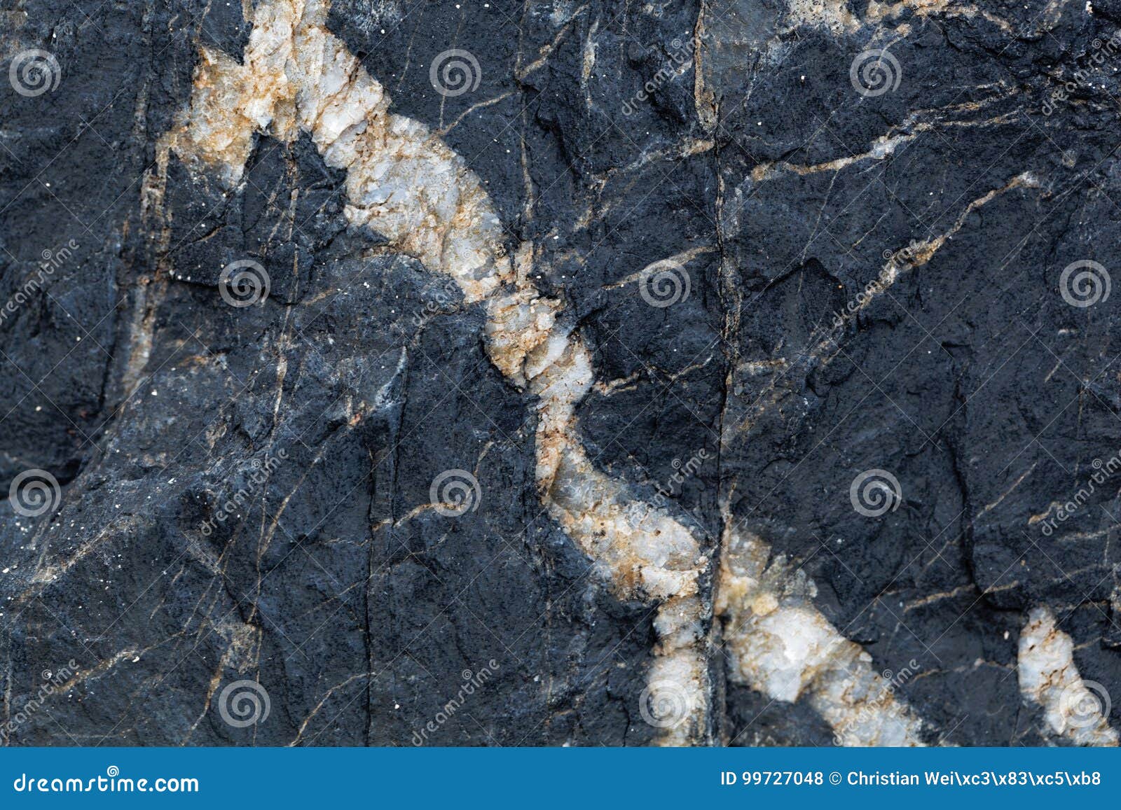 Veias Da Calcite Em Xistos Pretos Tectonized Da Argila Foto de Stock ...