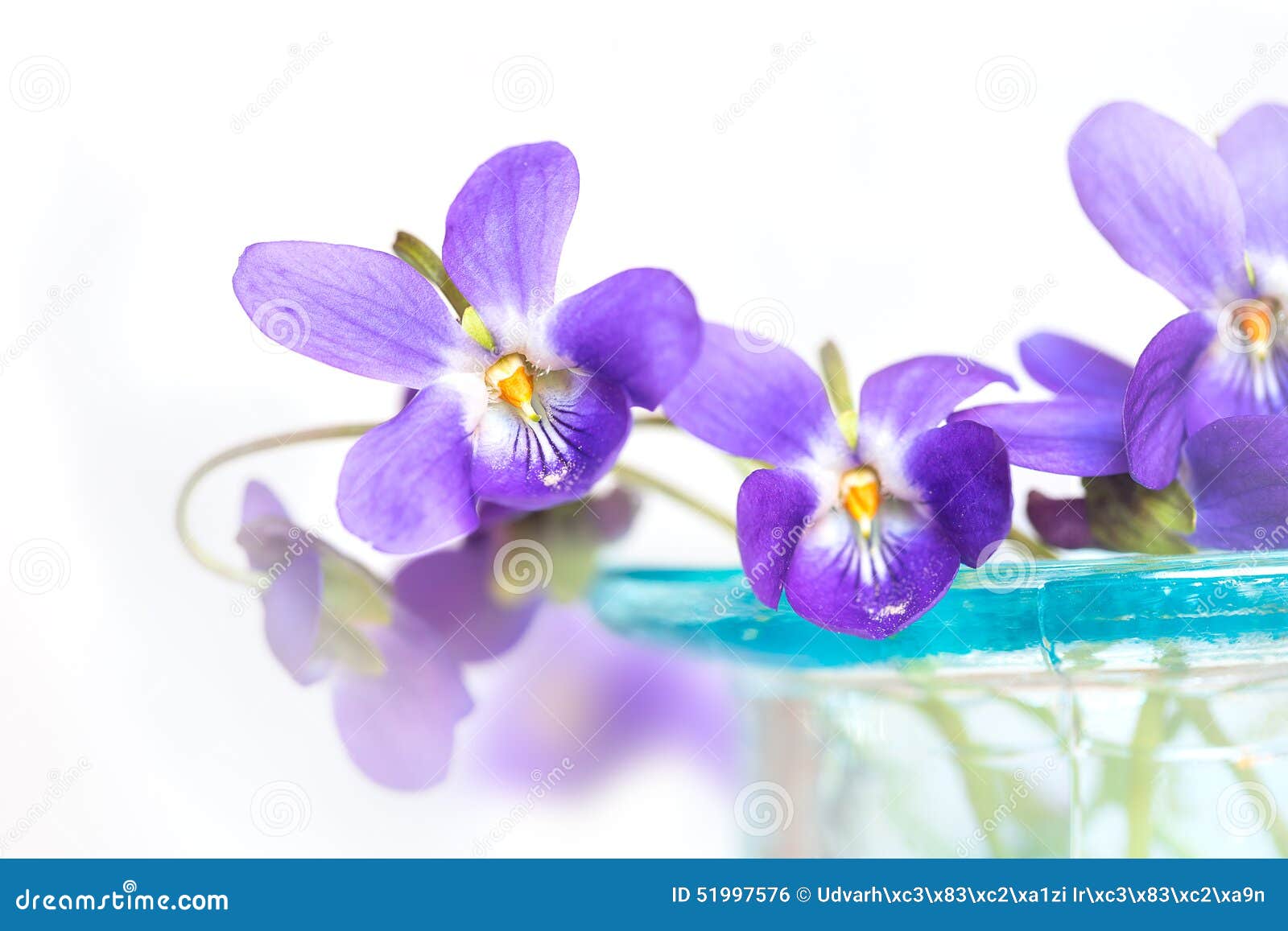 Veilchen Im Blauen Glasvase Stockfoto - Bild von veilchen, weinlese ...