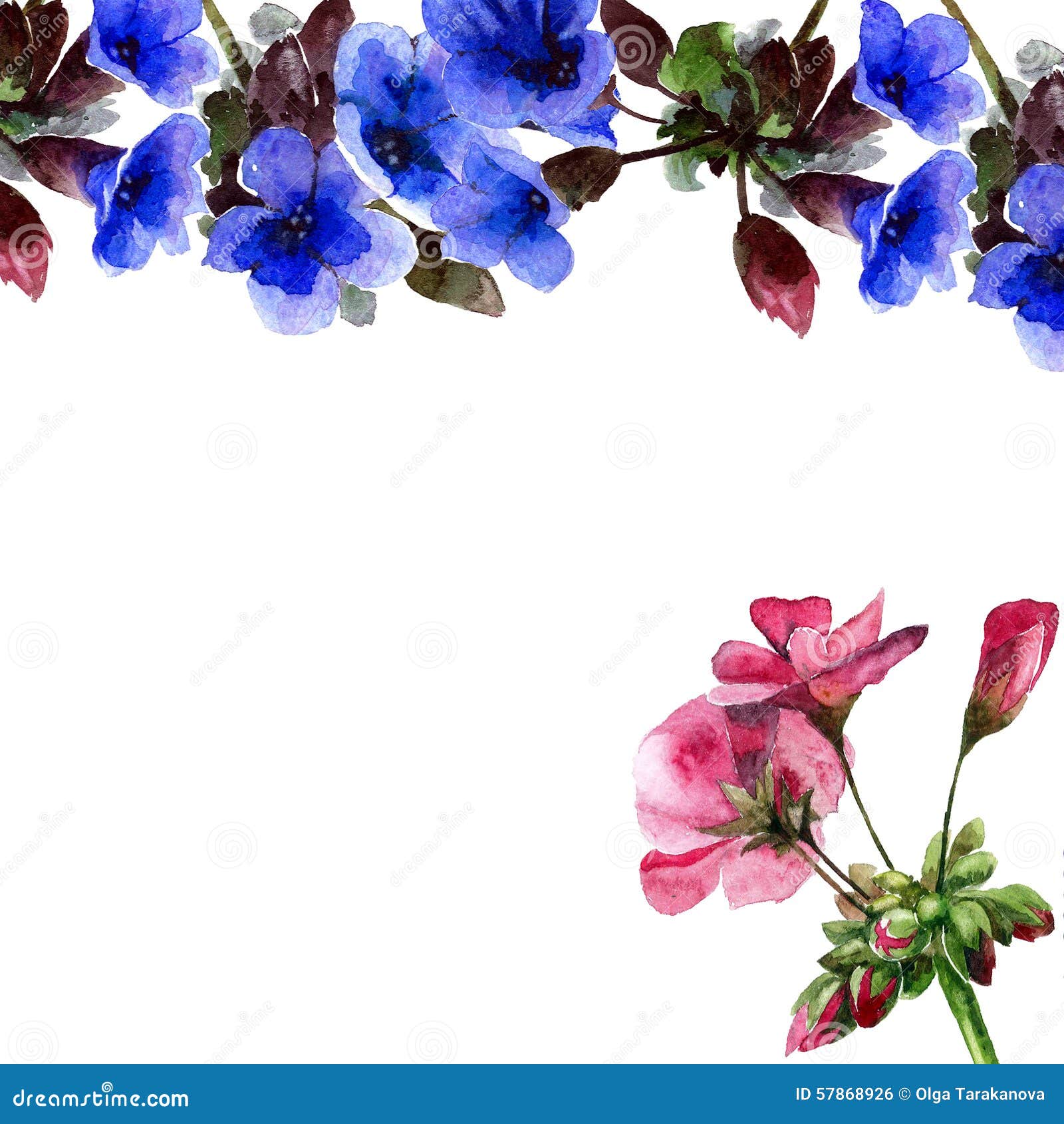 Veilchen mit Pelargonie stock abbildung. Illustration von blühen - 57868926