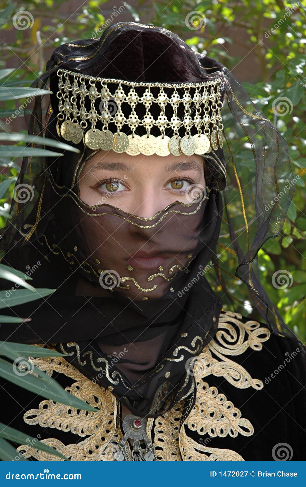 Veiled stock image. Image of accessory, fashionable, female - 1472027