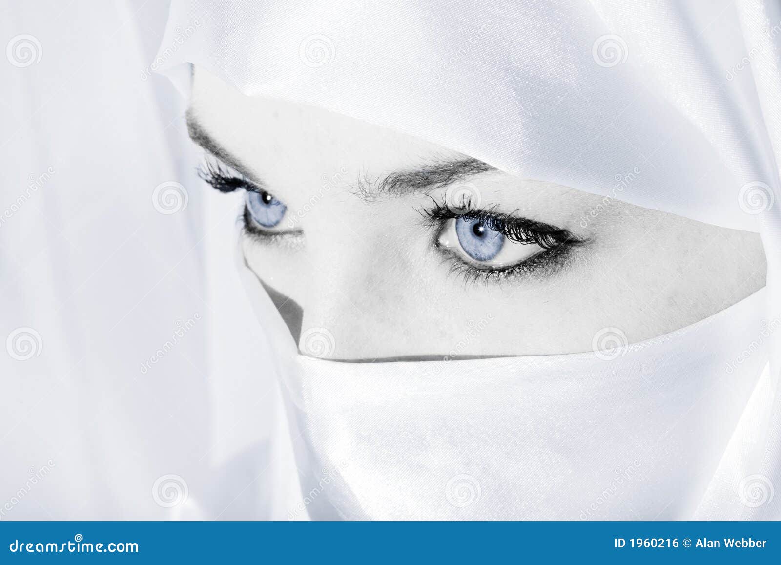 Veiled stock photo. Image of fashion, gaze, model, elegance - 1960216