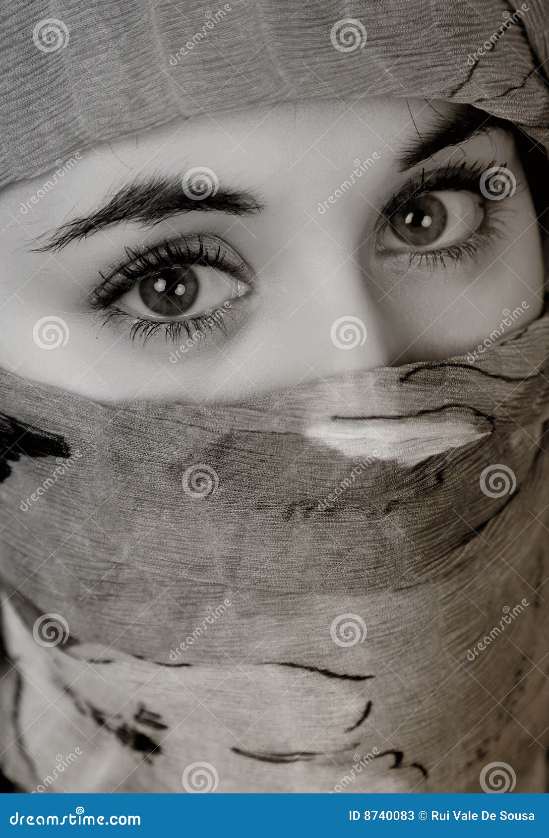 Veiled stock image. Image of face, lady, islam, ethnic - 8740083