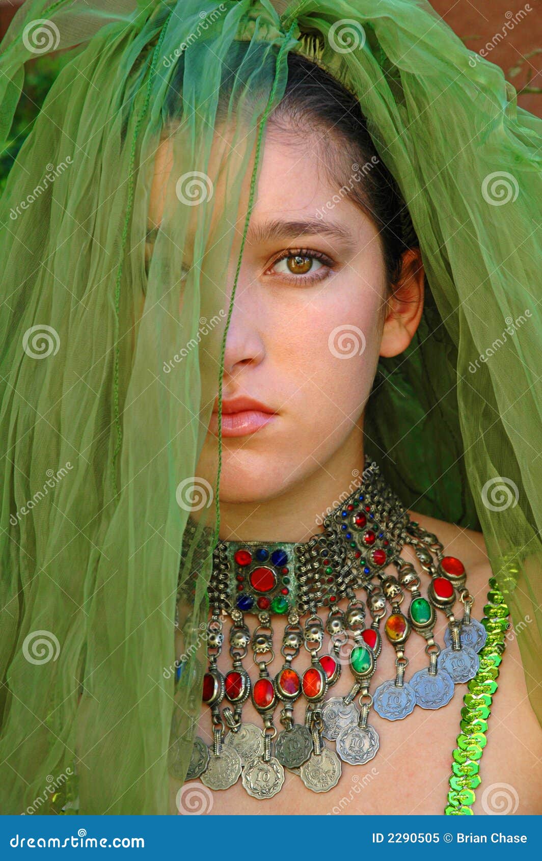 Veiled Girl stock image. Image of accessory, ethnic, colorful - 2290505