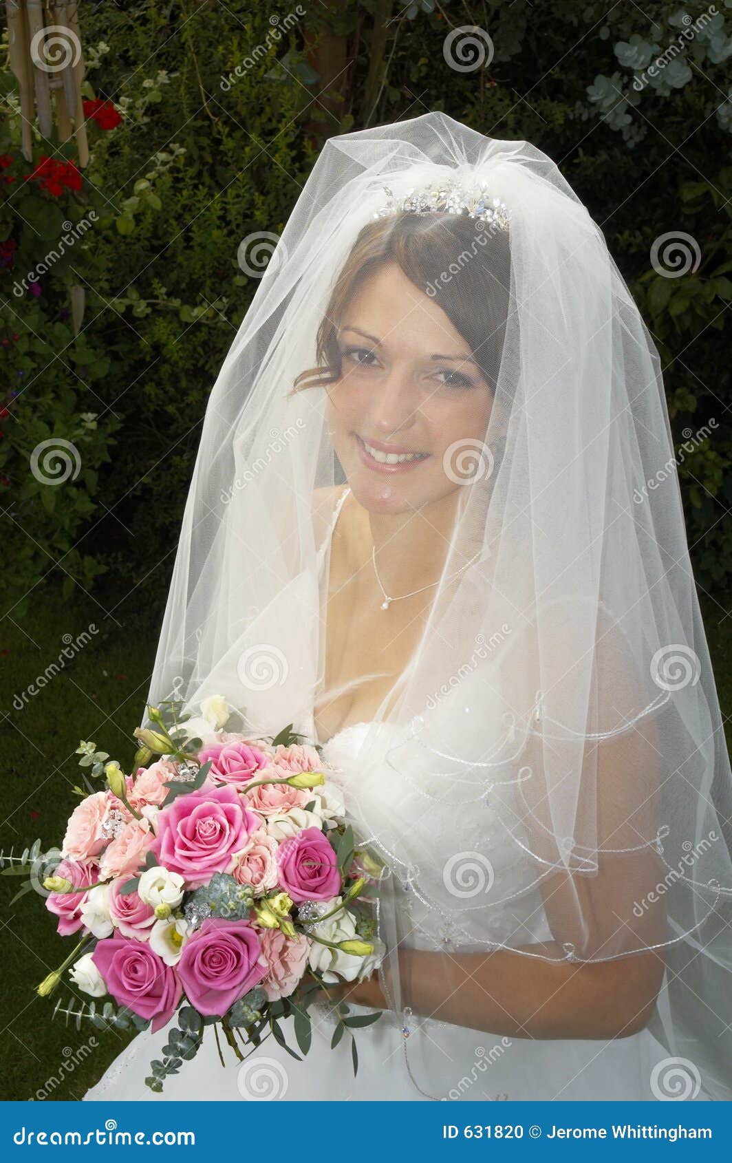 Veiledbride38 stock photo. Image of smiles, bridal, lover - 631820