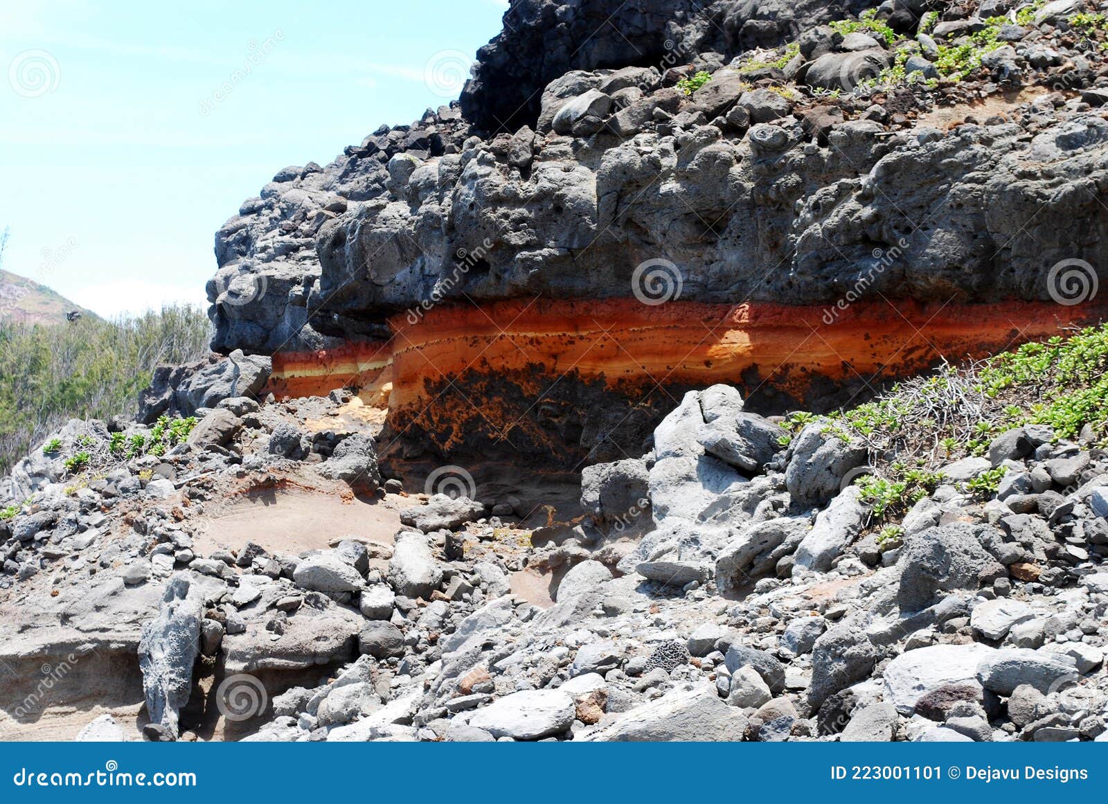 Large Vein Wall Stock Image | CartoonDealer.com #243597397