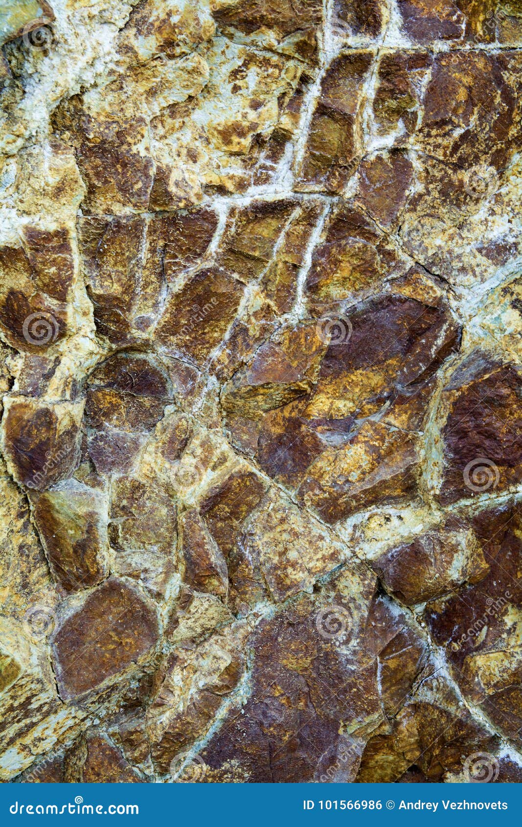 Stone Texture Vein of Igneous Rock in the Background. Stock Photo ...