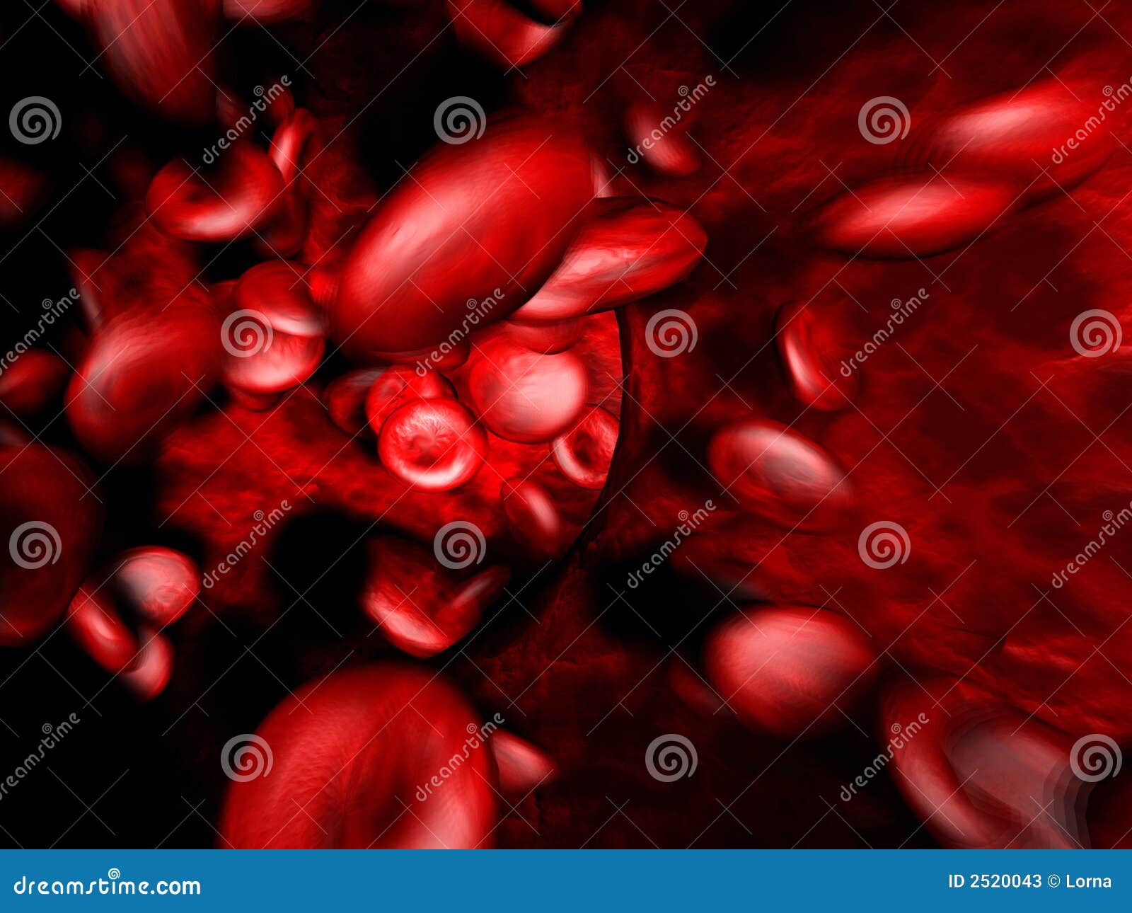 Veine de globule sanguin illustration stock. Illustration du sang - 2520043