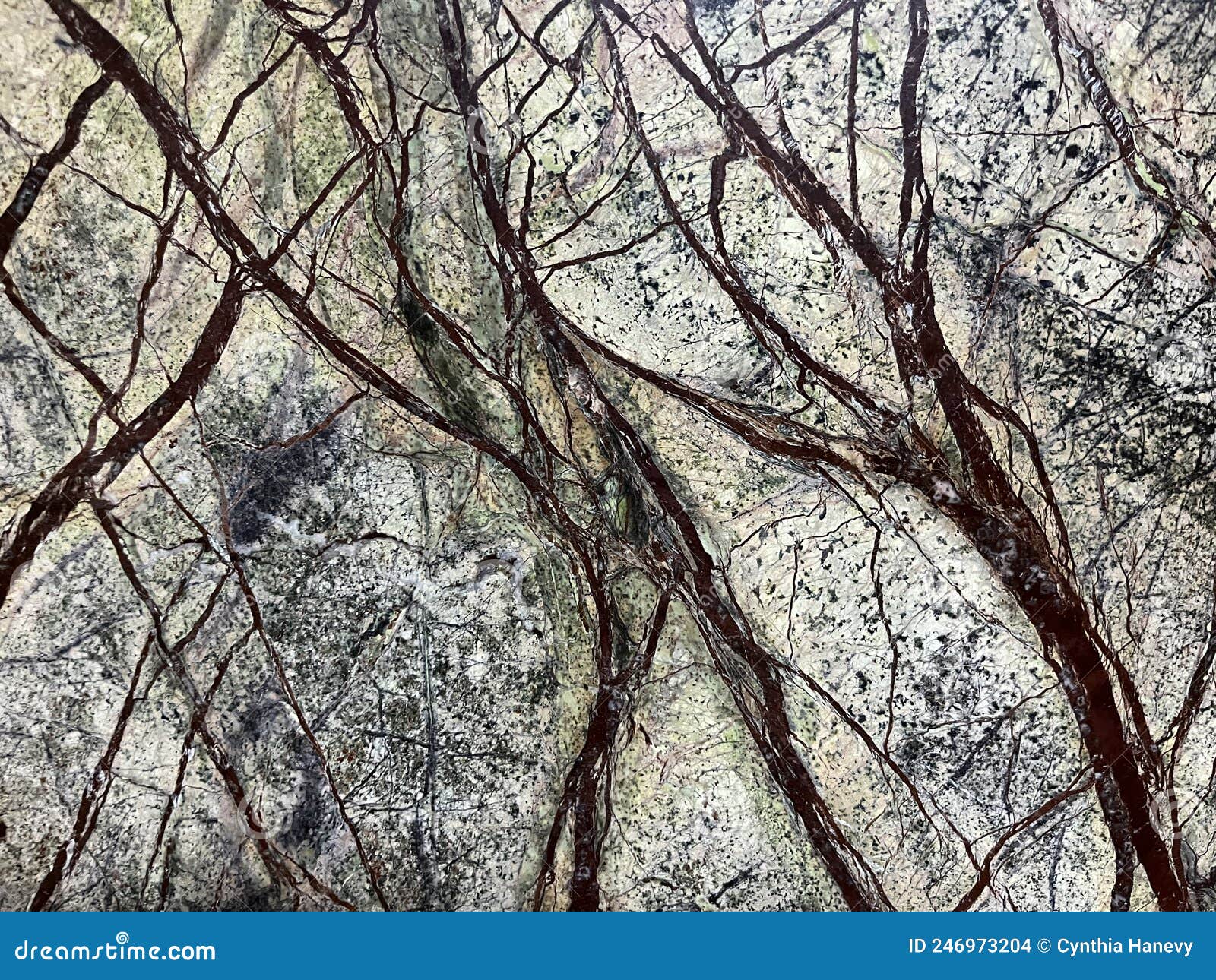 Veined marble pattern stock photo. Image of texture - 246973204