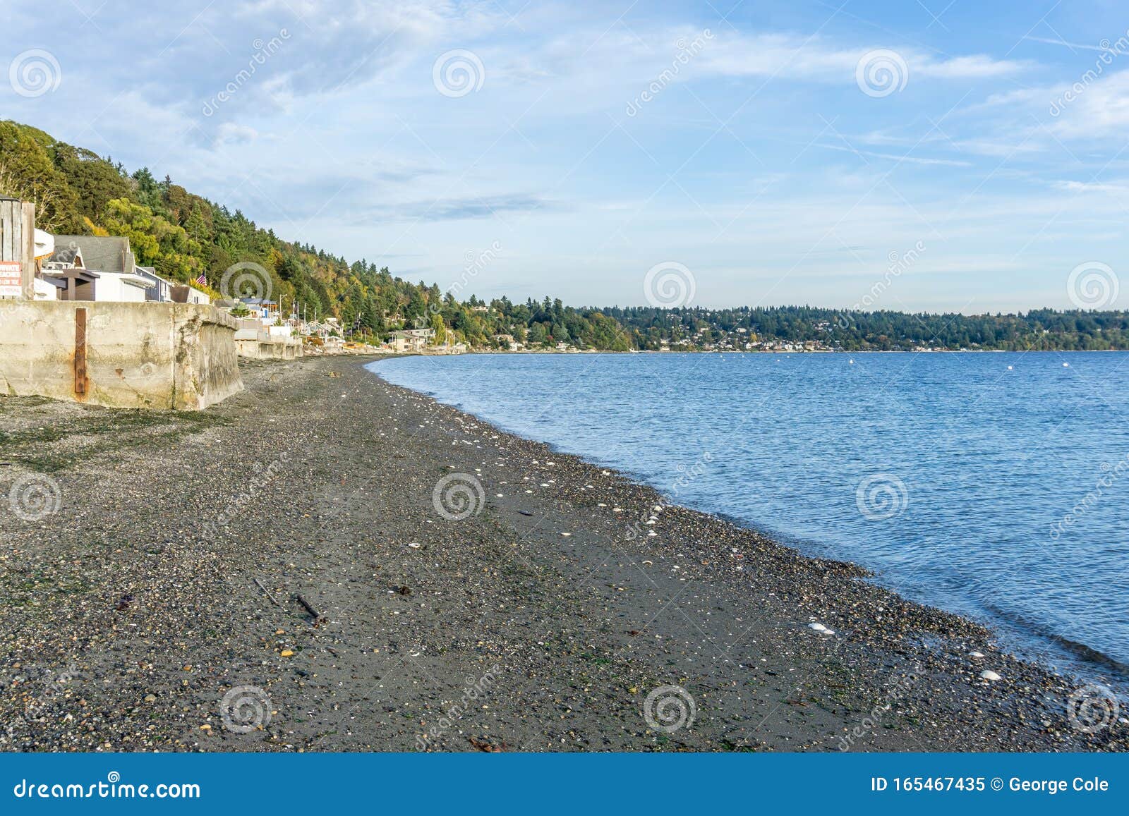 Three Tree Point Landscape stock image. Image of washington - 165467435