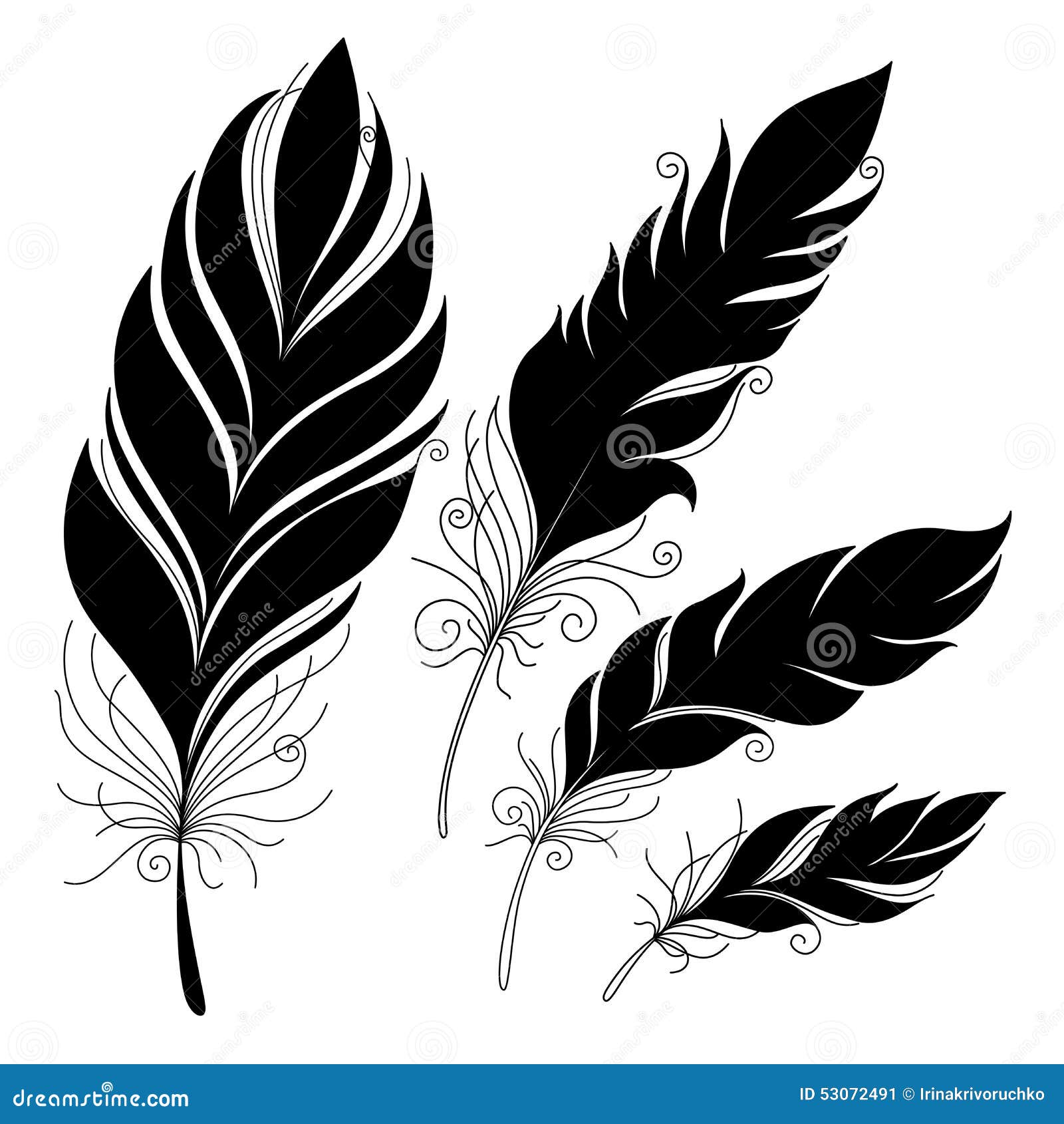 Vektor-beispiellose Dekorative Feder Vektor Abbildung - Illustration ...