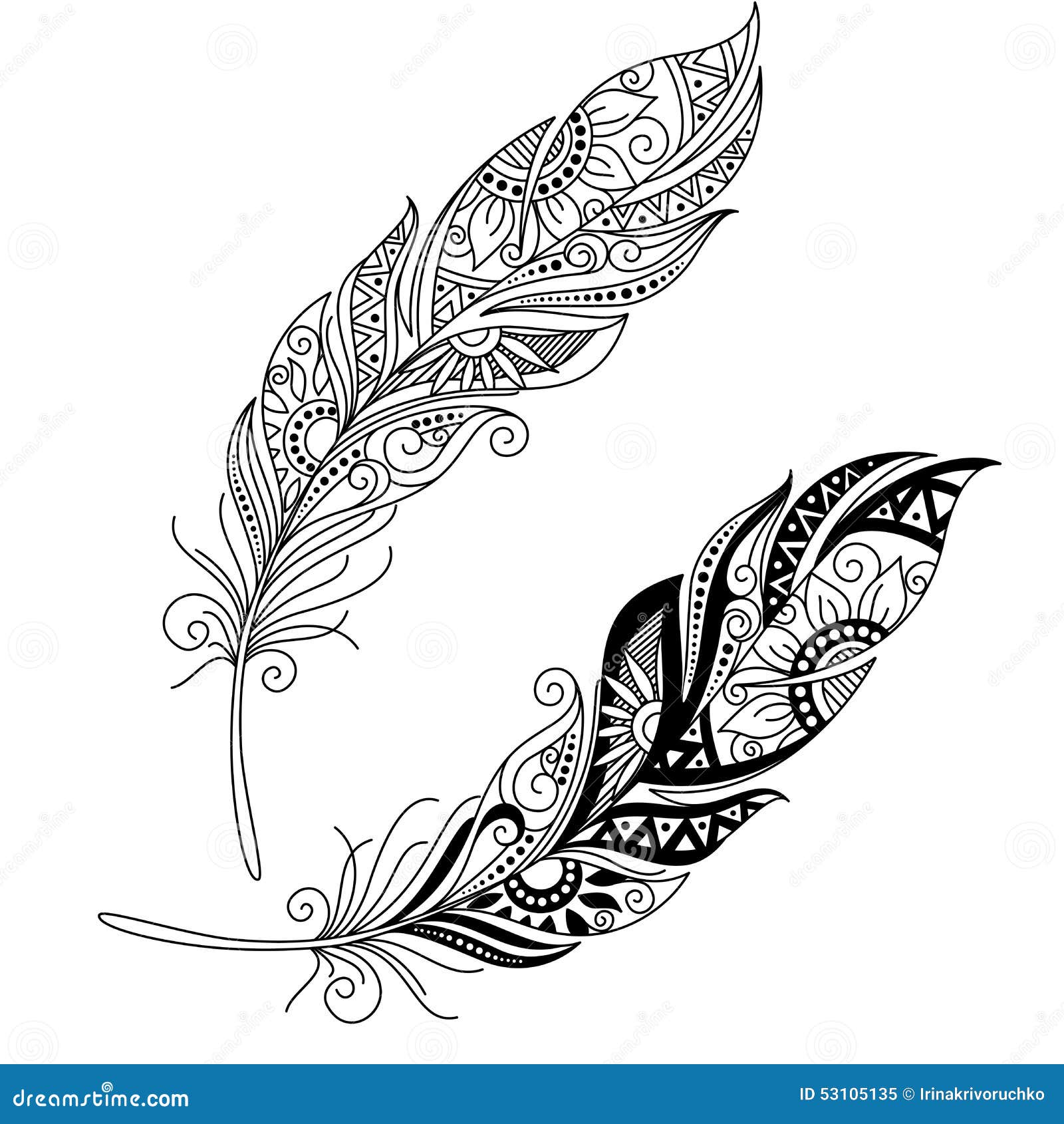 Vektor-beispiellose Dekorative Feder Vektor Abbildung - Illustration ...