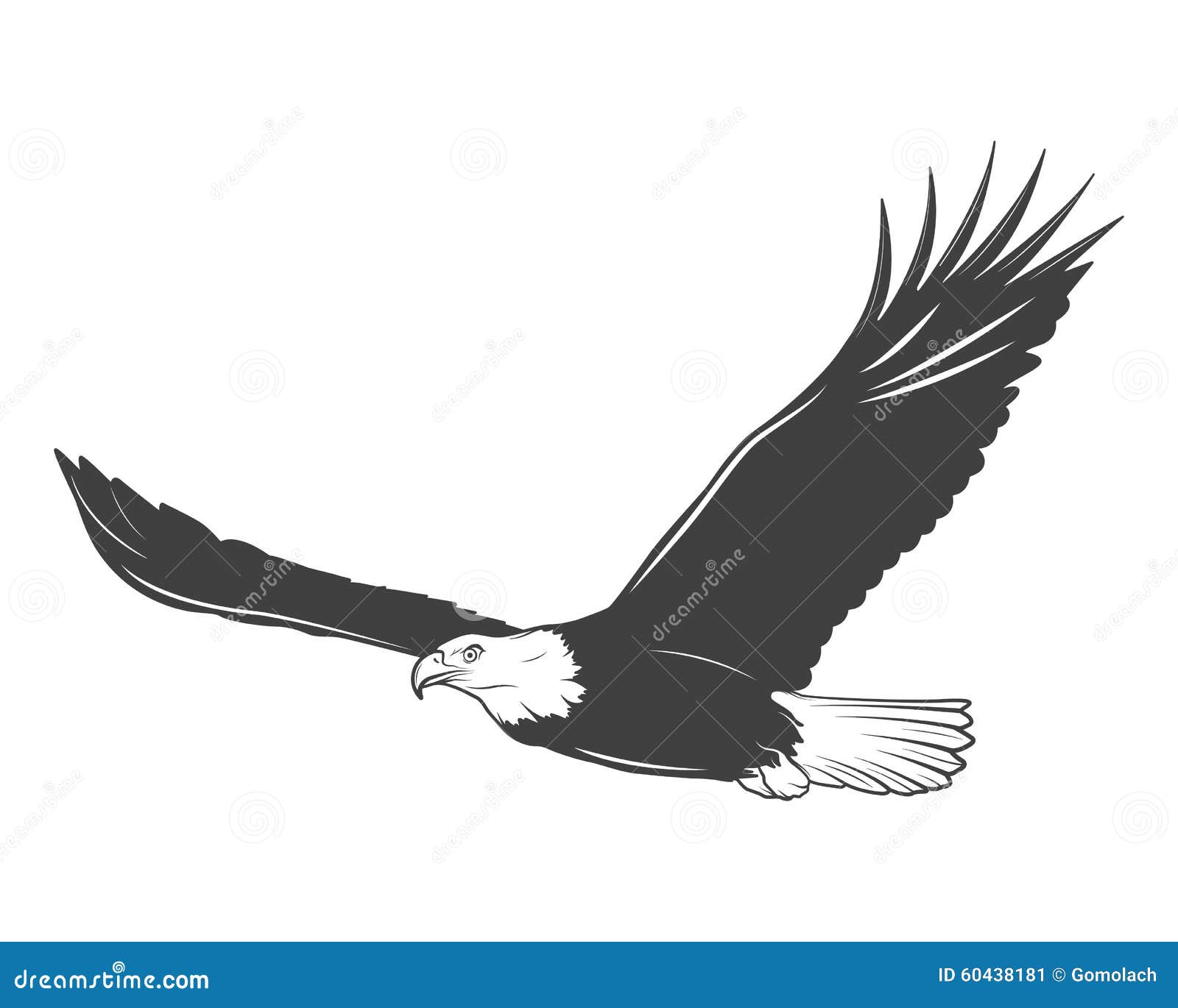 Vektoradler vektor abbildung. Illustration von kraft - 60438181