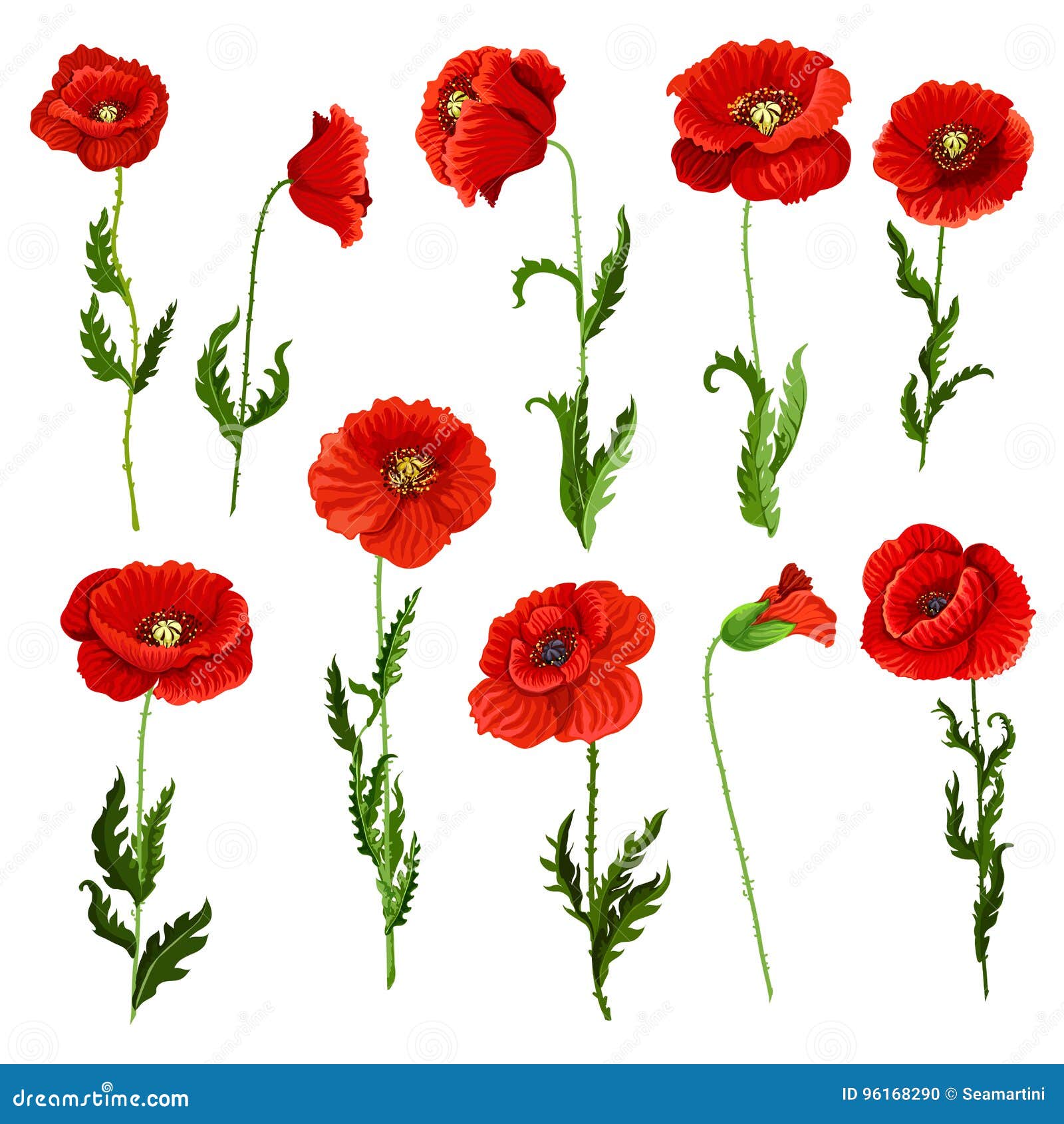 Vektorikonen Von Mohnblumenblumen Vektor Abbildung - Illustration von ...