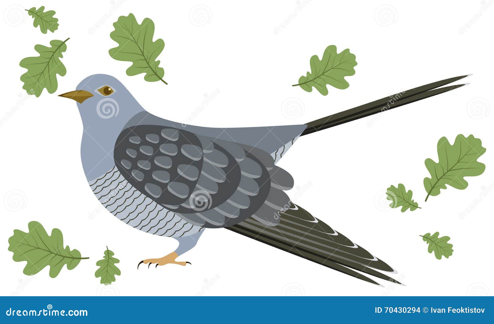 Vektorillustration Av En Gök Vektor Illustrationer - Illustration av ...