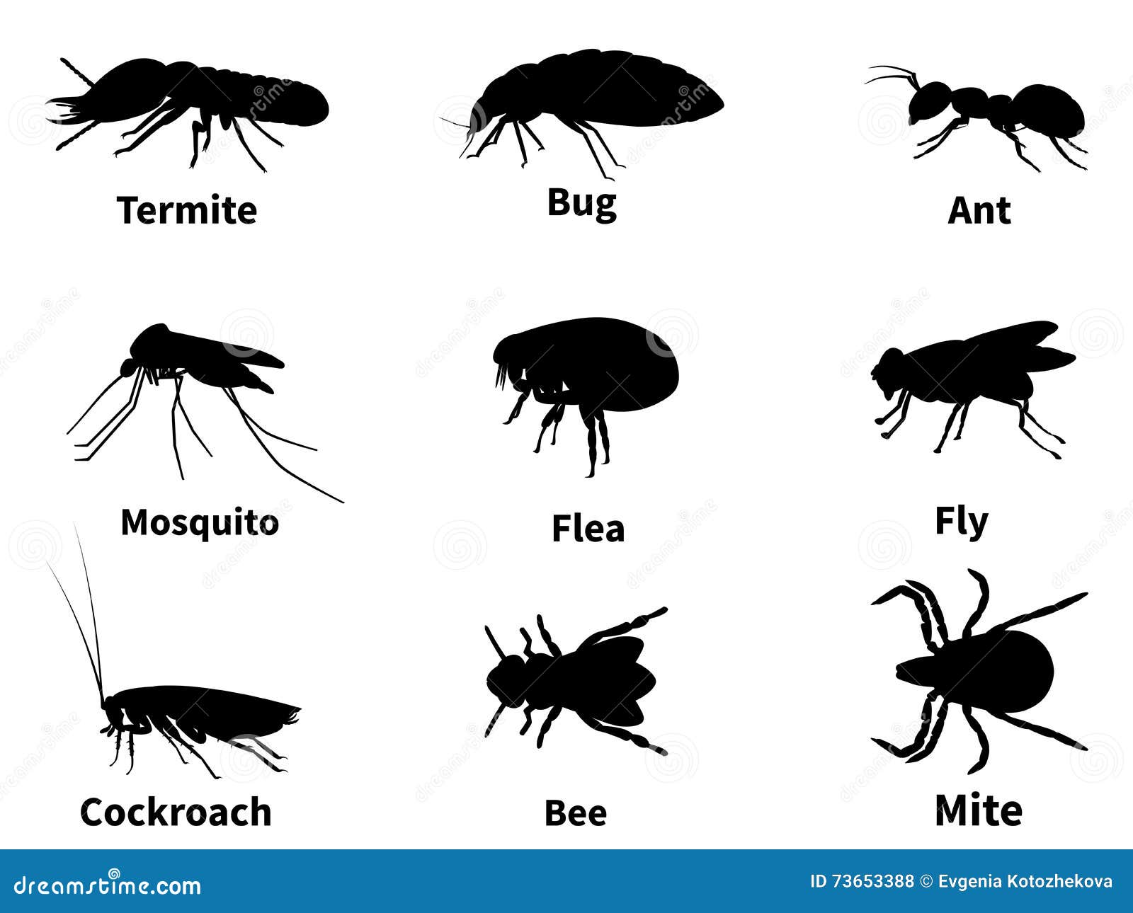 Vektorillustrationkonturer Av Kryp Vektor Illustrationer - Illustration ...