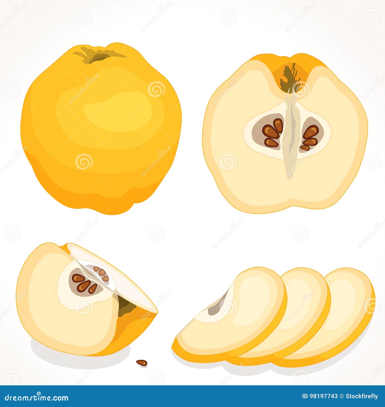 Quitte Stock Illustrationen, Vektors, & Klipart – (2,367 Stock ...