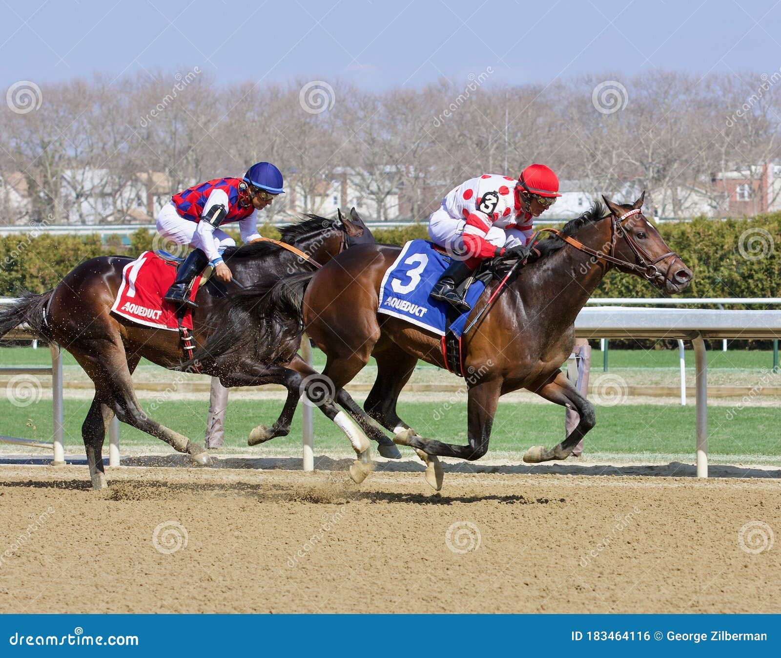 Velazquez on Mind Control Winning a Stake Race Editorial Photo - Image ...