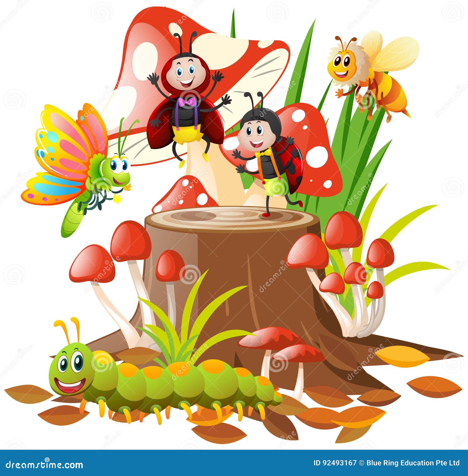 Vele Soorten Insecten in Tuin Vector Illustratie - Illustration of ...