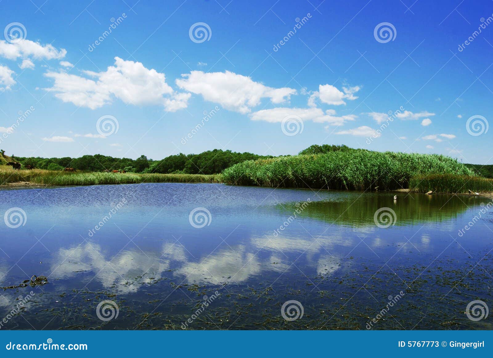 Veleka river stock image. Image of water, diagonal, landscape - 5767773