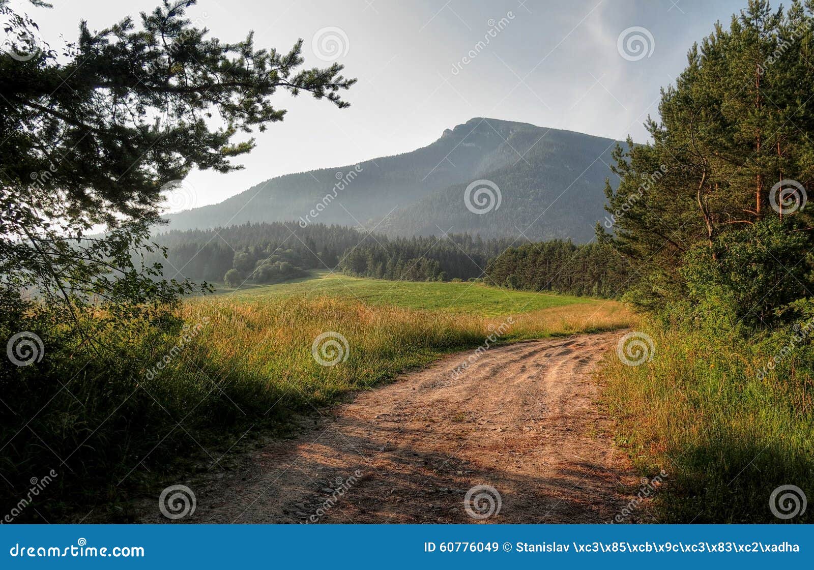 Velky Choc mountain stock image. Image of tree, slovakia - 60776049