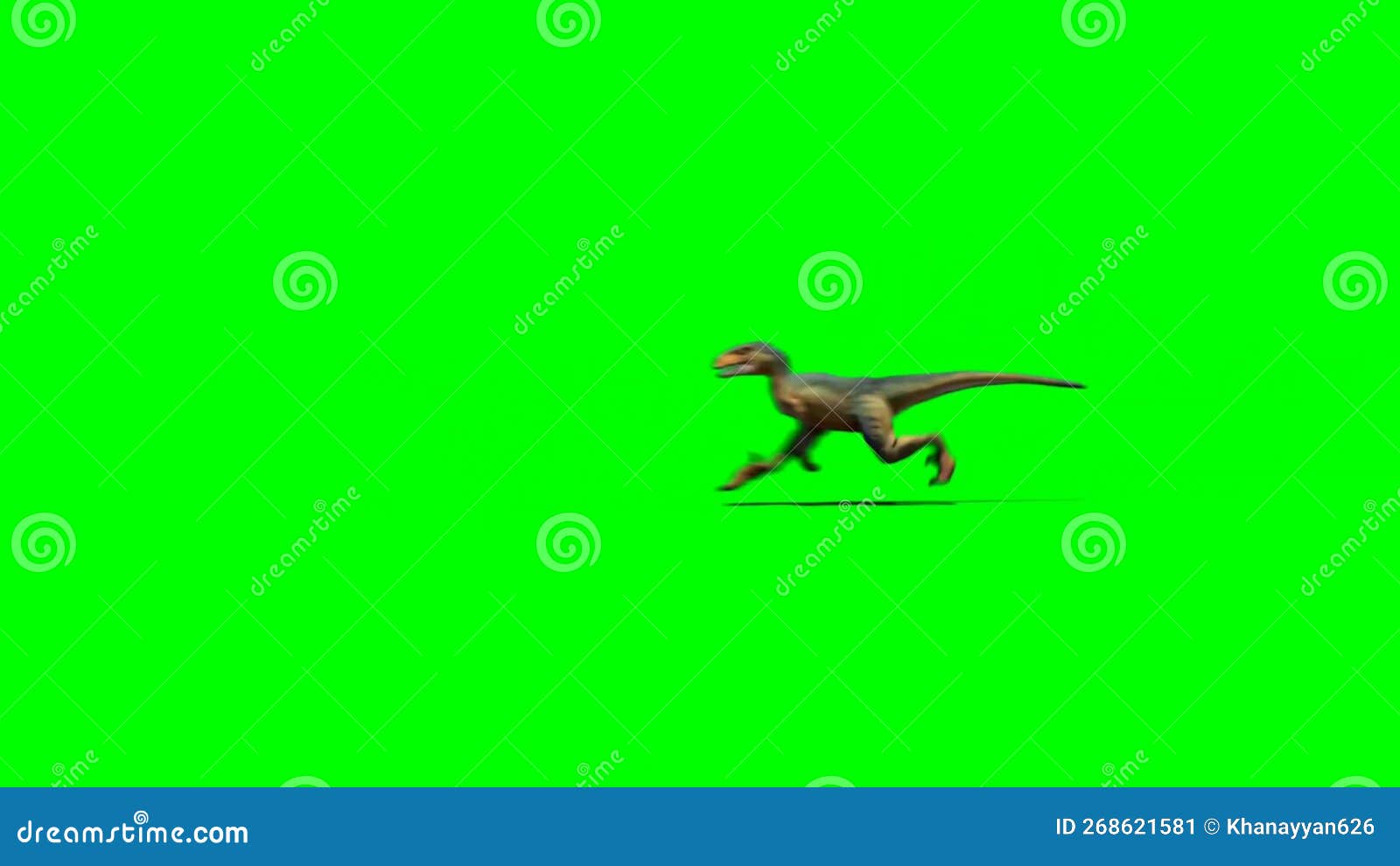 Velociraptor Attacking on Green Screen Stock Video - Video of dino ...