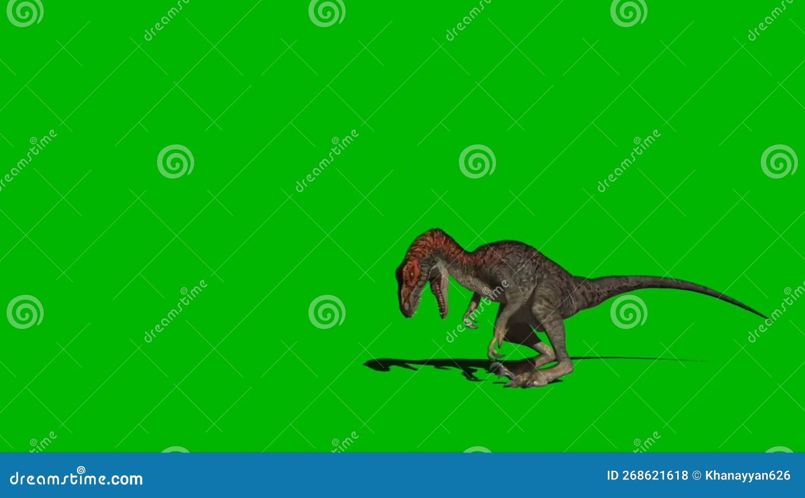 Velociraptor Attacking on Green Screen Stock Footage - Video of dragon ...