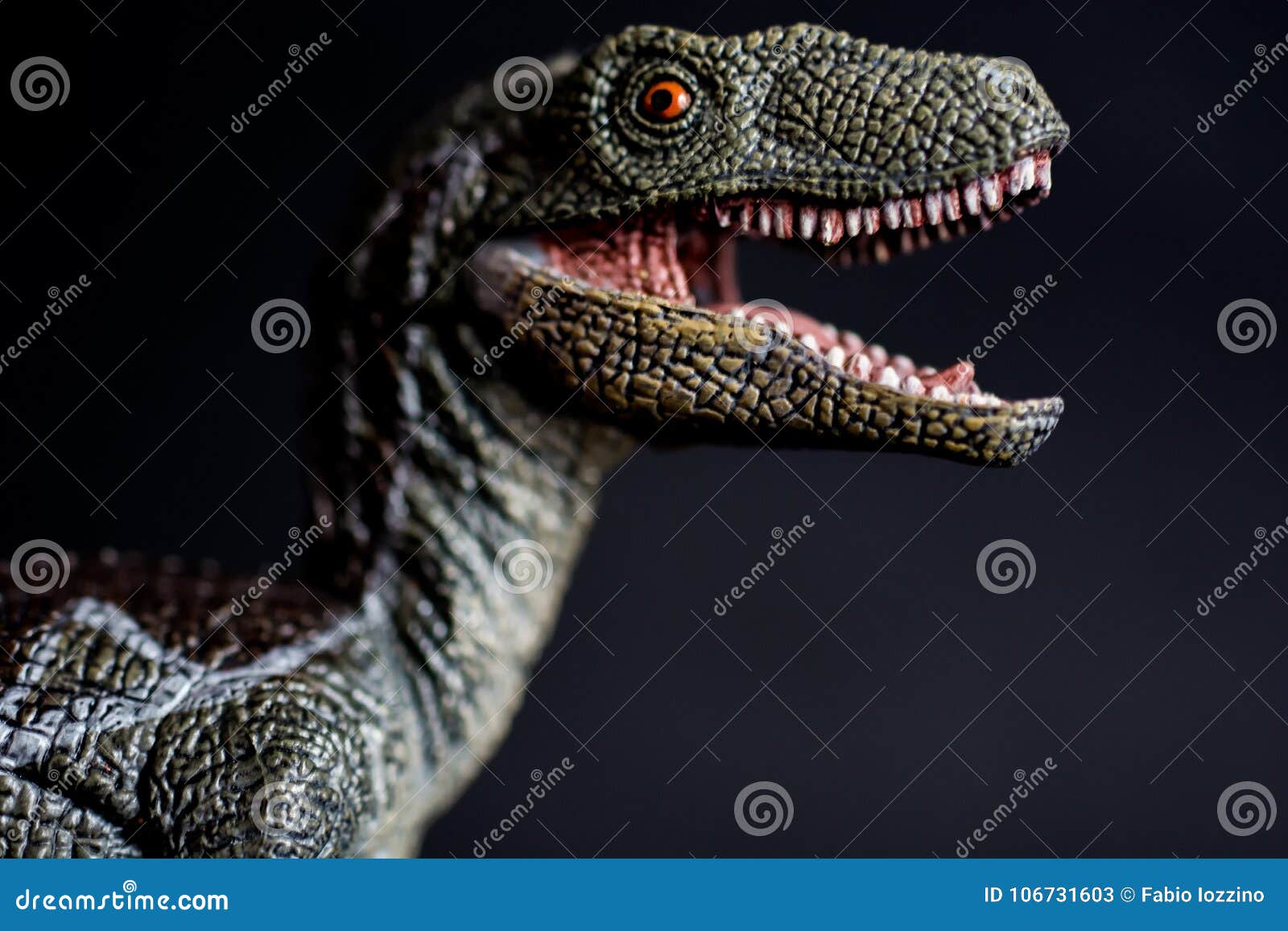 Velociraptor Head Isolated On White Background Showing Open Mouth Stock ...