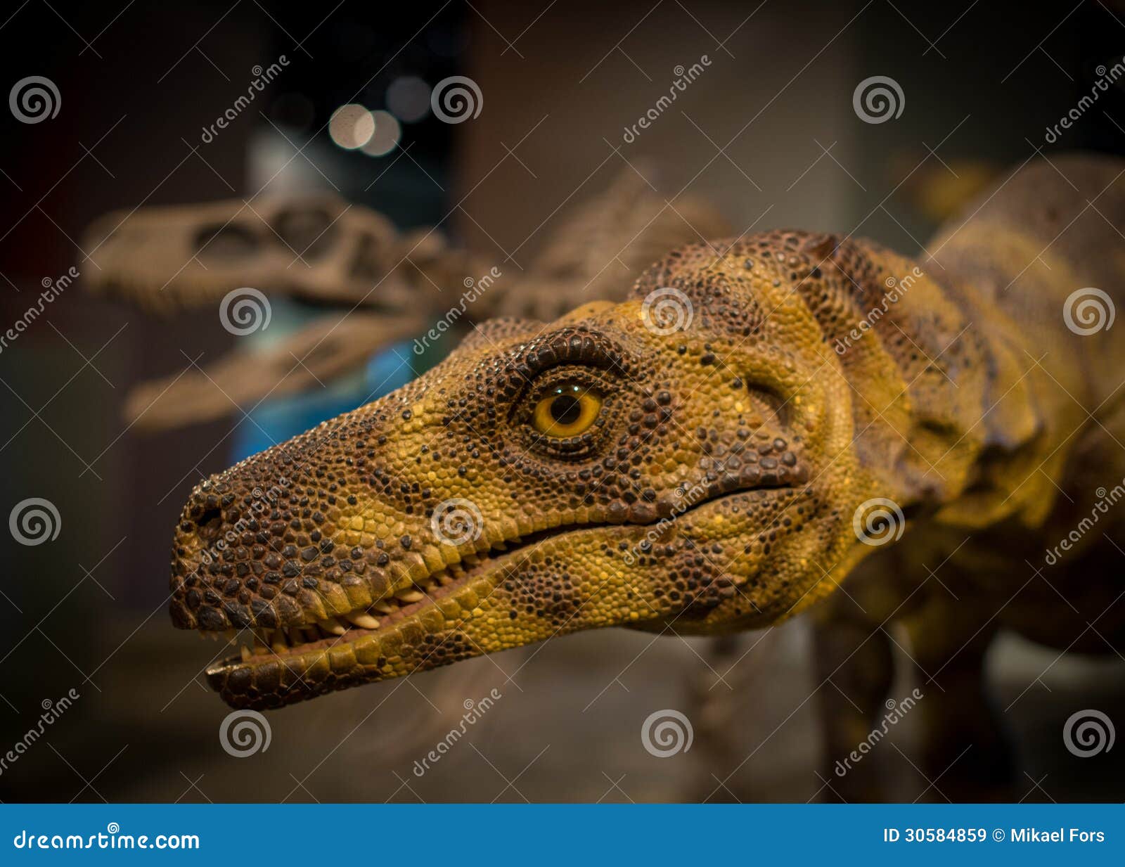 Velociraptor Head Isolated On White Background Showing Open Mouth Stock ...