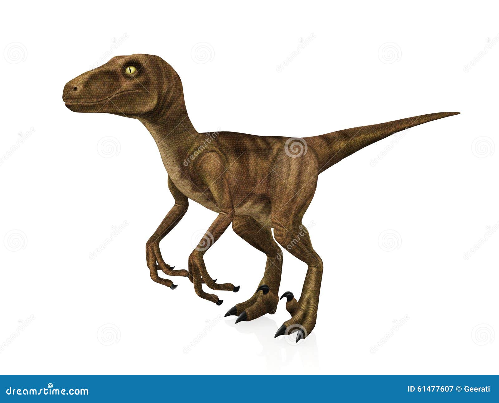 Velociraptor stock illustration. Illustration of isolated - 61477607