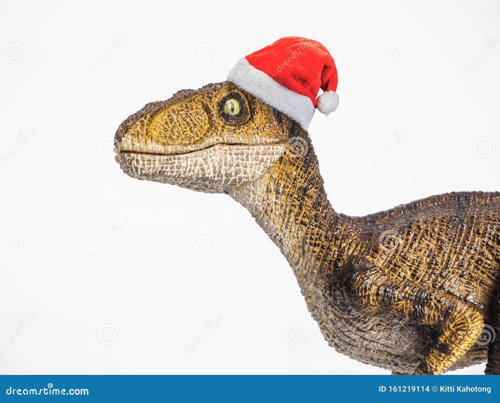 Velociraptor Dinosaur with Christmas Hat on White Background Stock ...