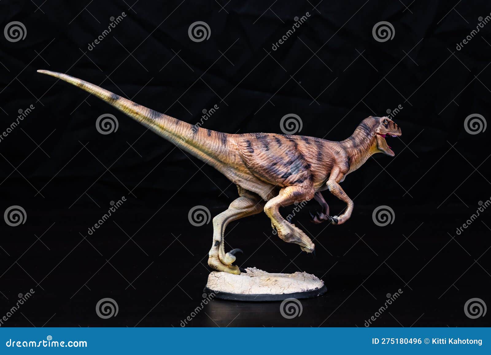 Velociraptor In The Dark Royalty-Free Stock Photo | CartoonDealer.com ...