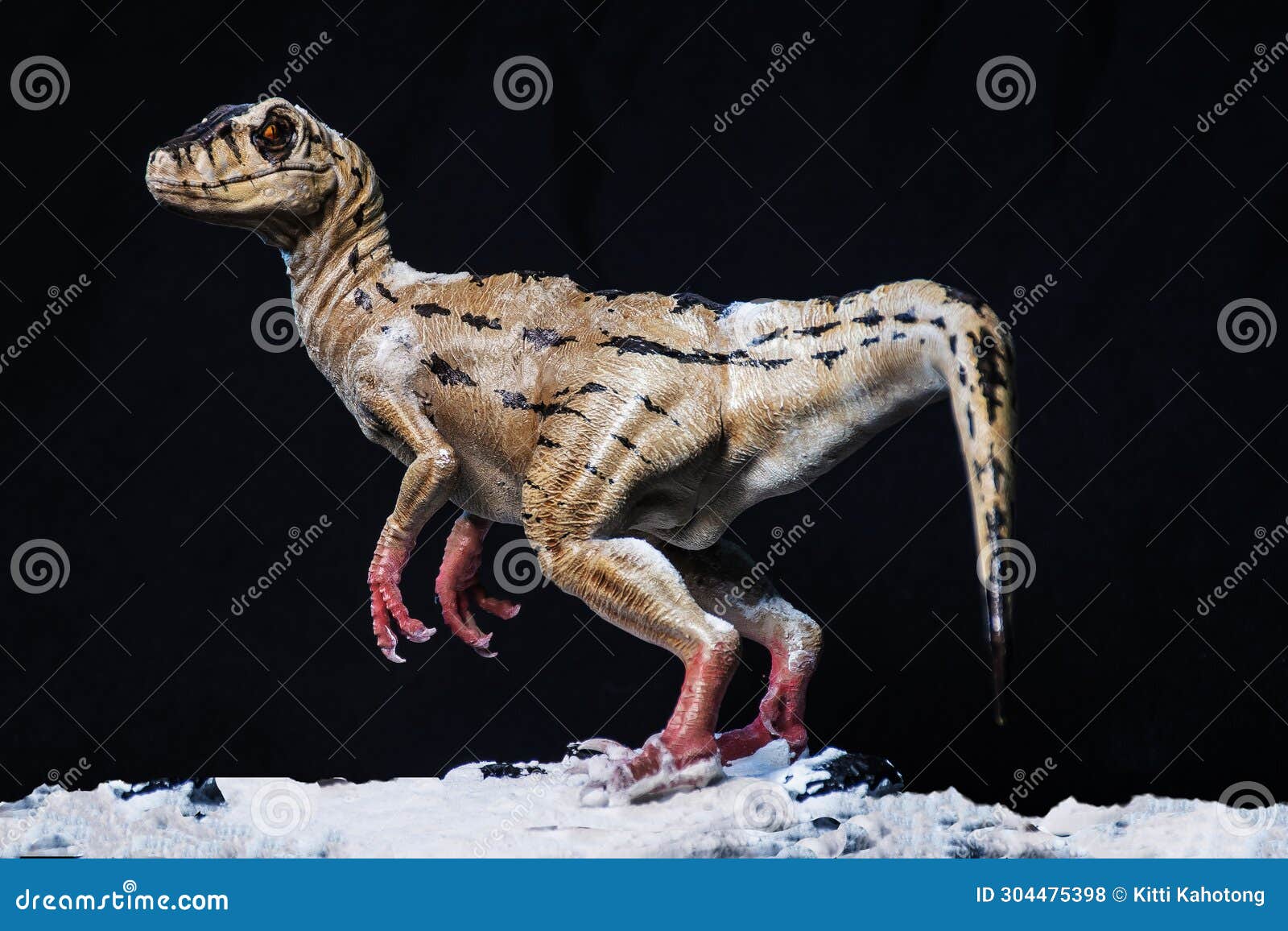 Velociraptor Dinosaur in the Dark Stock Photo - Image of reptile ...