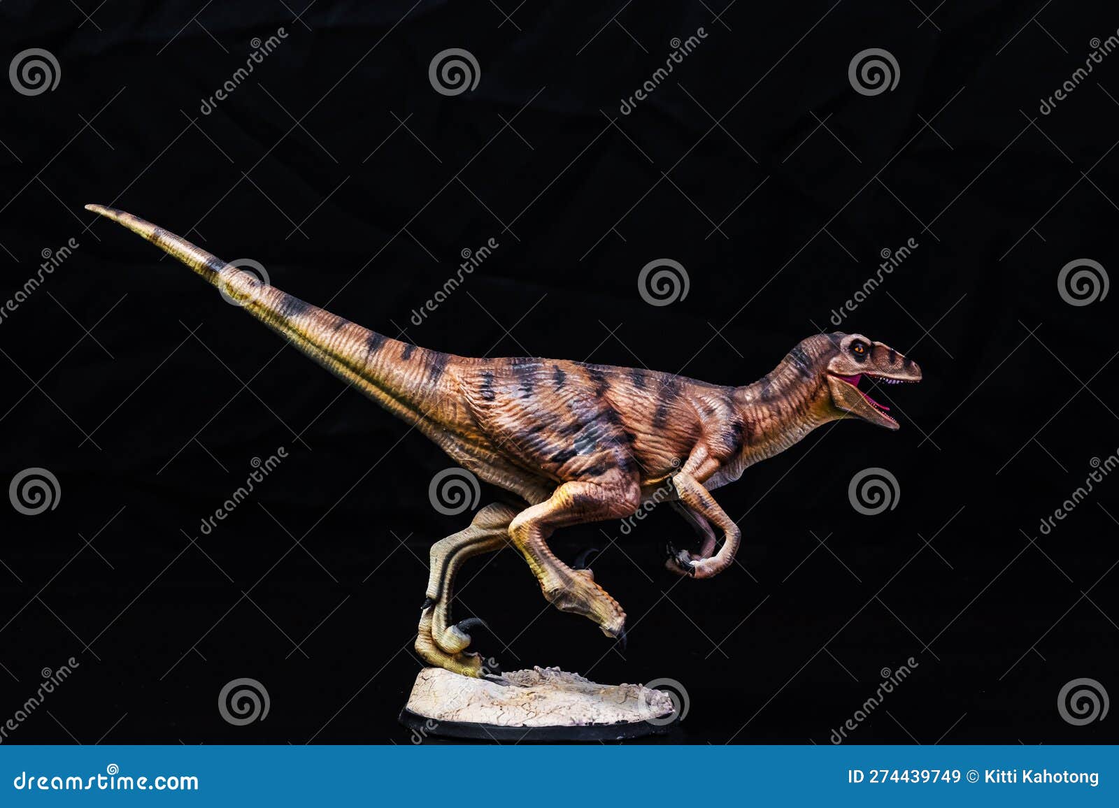 Velociraptor In The Dark Royalty-Free Stock Photo | CartoonDealer.com ...