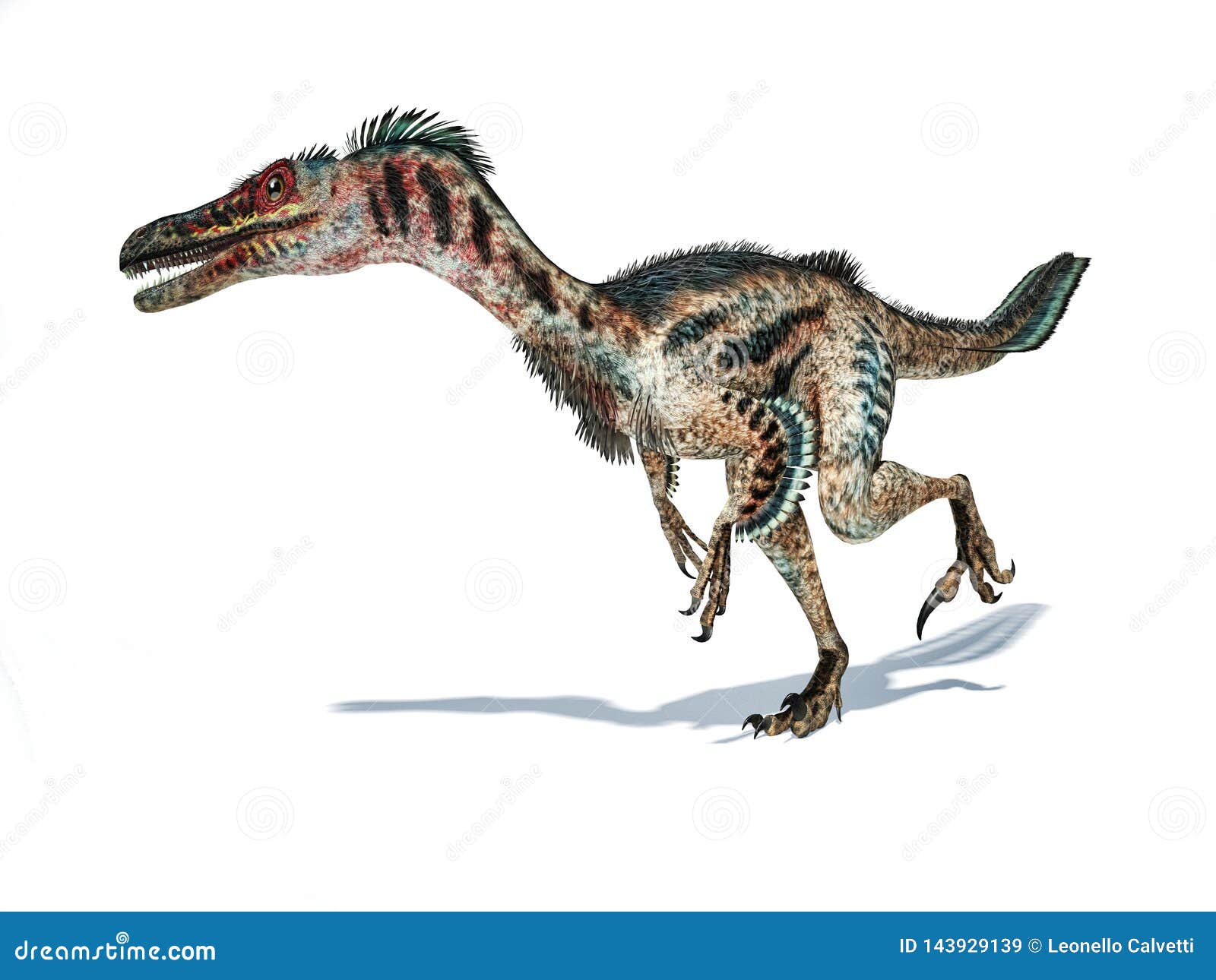 Velociraptor Dinosaur Cartoon Linear Sketch For Coloring Book Isolated ...