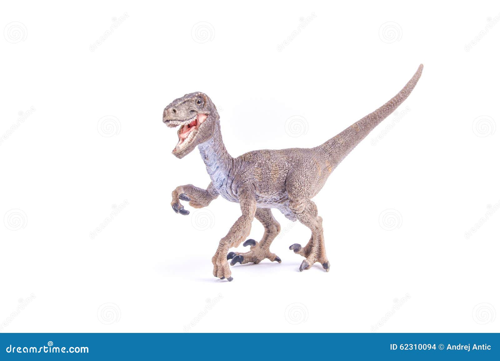 Velociraptor Dinosaur Royalty-Free Stock Image | CartoonDealer.com ...