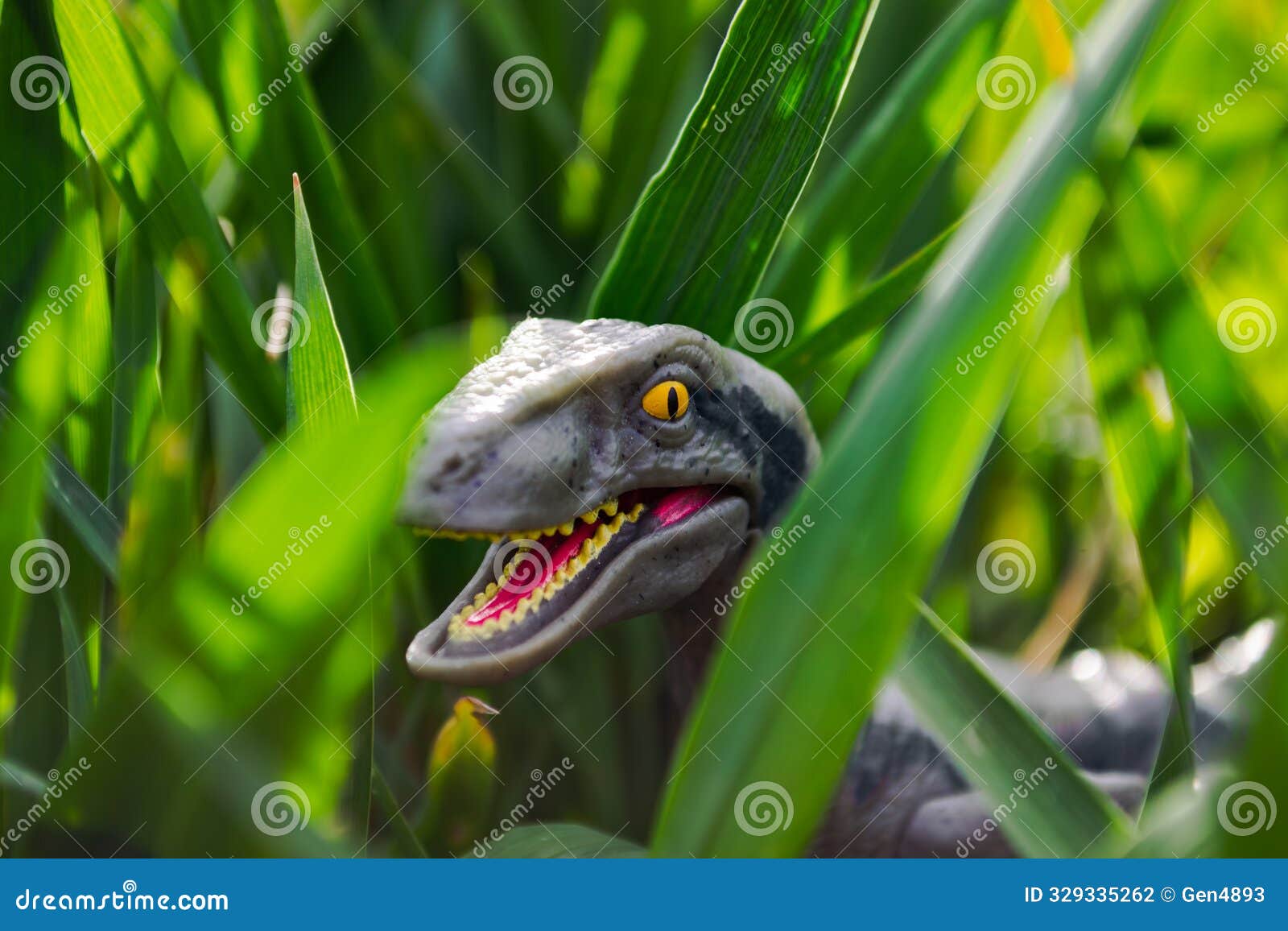 Velociraptor Dinosaur Toy In The Middle Of Lush Green Grass Stock ...