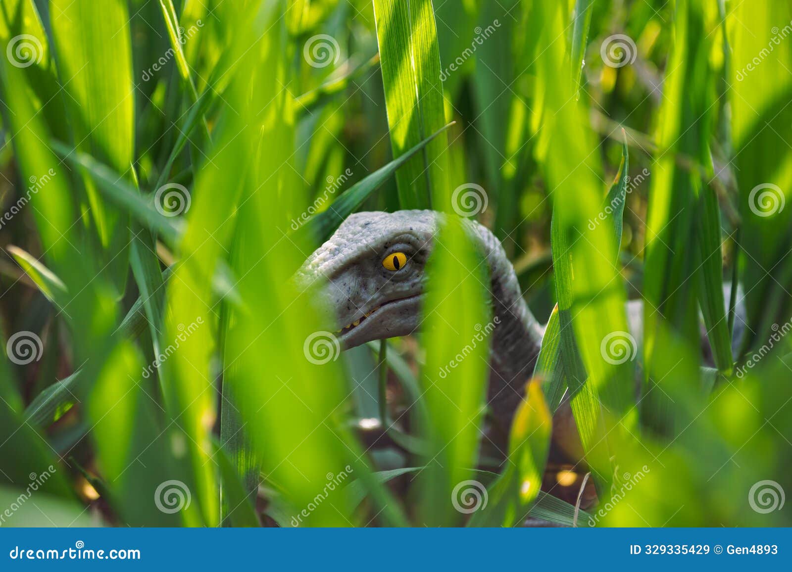 Velociraptor Dinosaur Toy In The Middle Of Lush Green Grass Stock Image ...