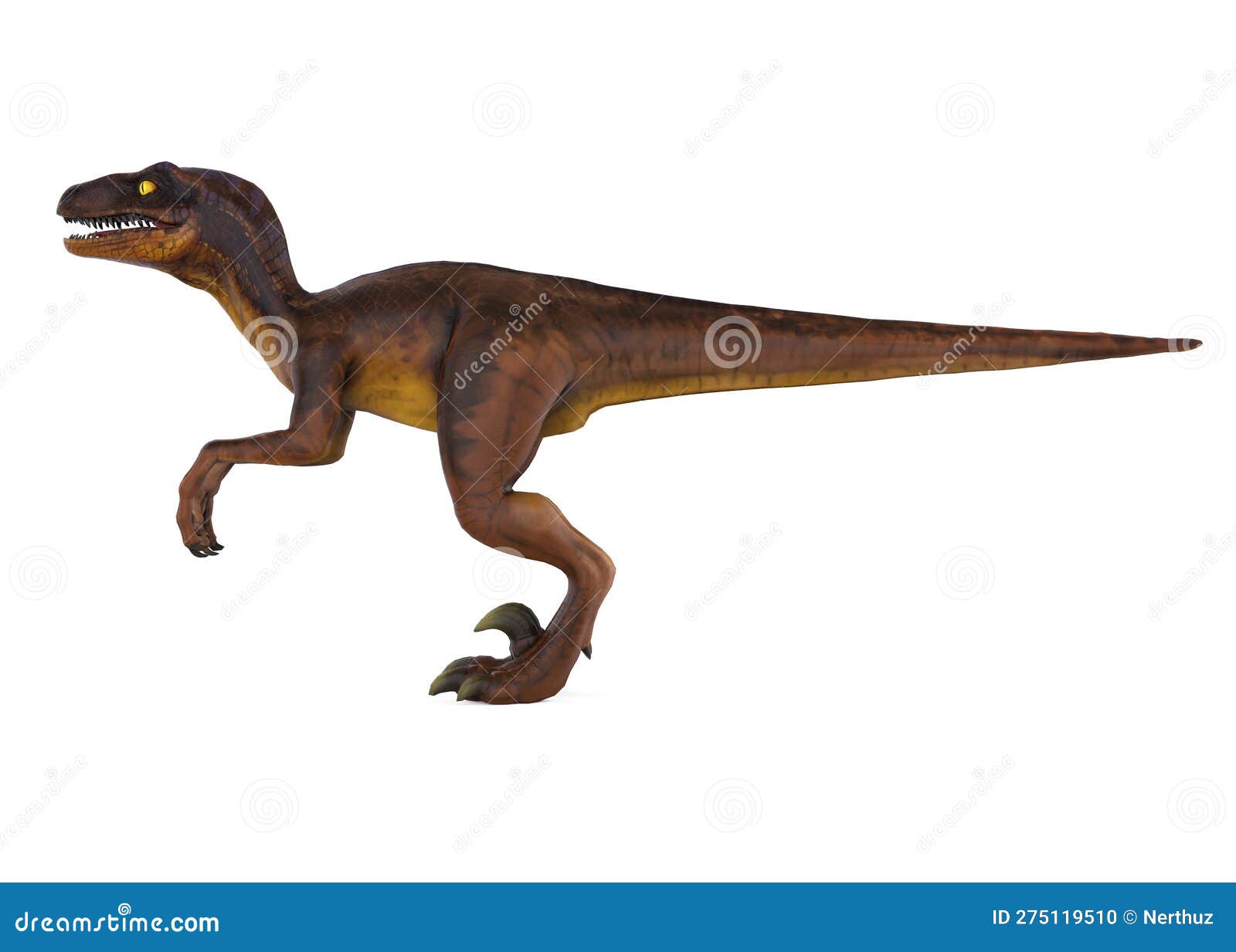 Velociraptor Dinosaurs Isolated Stock Illustration - Illustration of ...