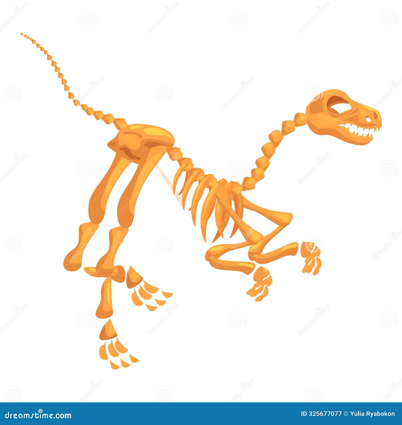 Skeleton And Teeth Anatomy. Medical Accurate 3D Illustration Royalty ...
