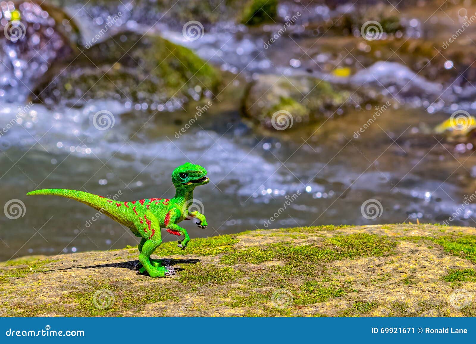 Velociraptor Walking Through The Forest This Dinosaur Lived In The Late ...