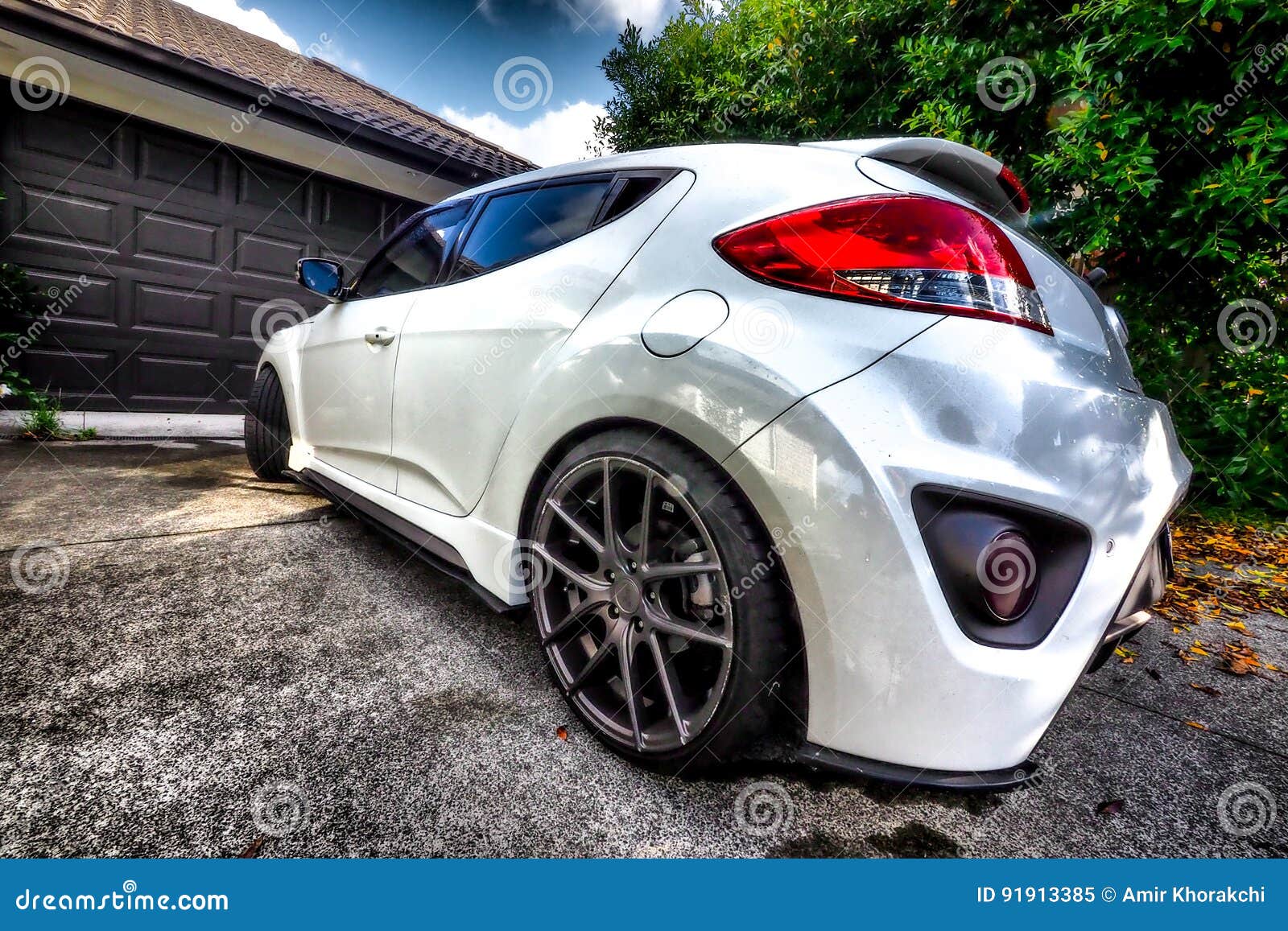 Veloster Fish Stock Photos - Free & Royalty-Free Stock Photos from ...